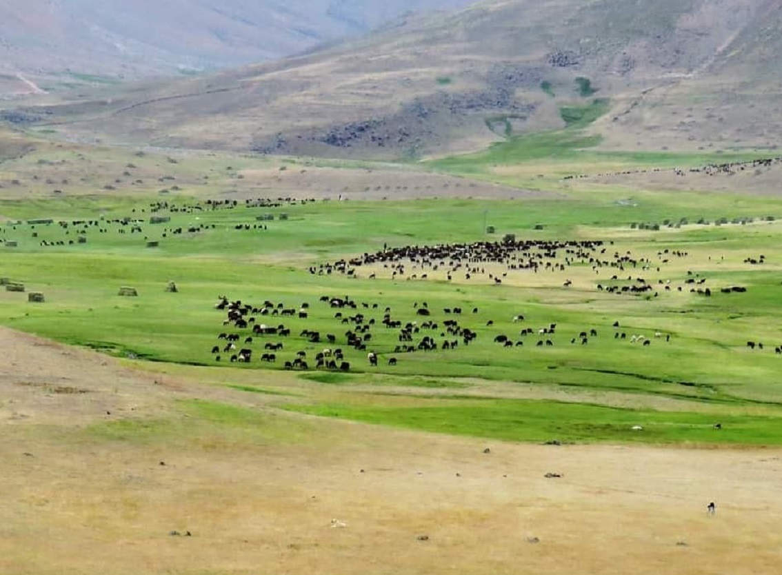 Iğdır Province - Iğdır