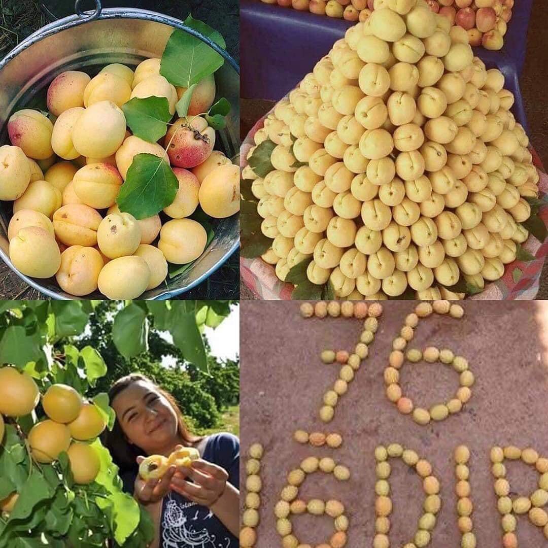 Iğdır Province - Iğdır