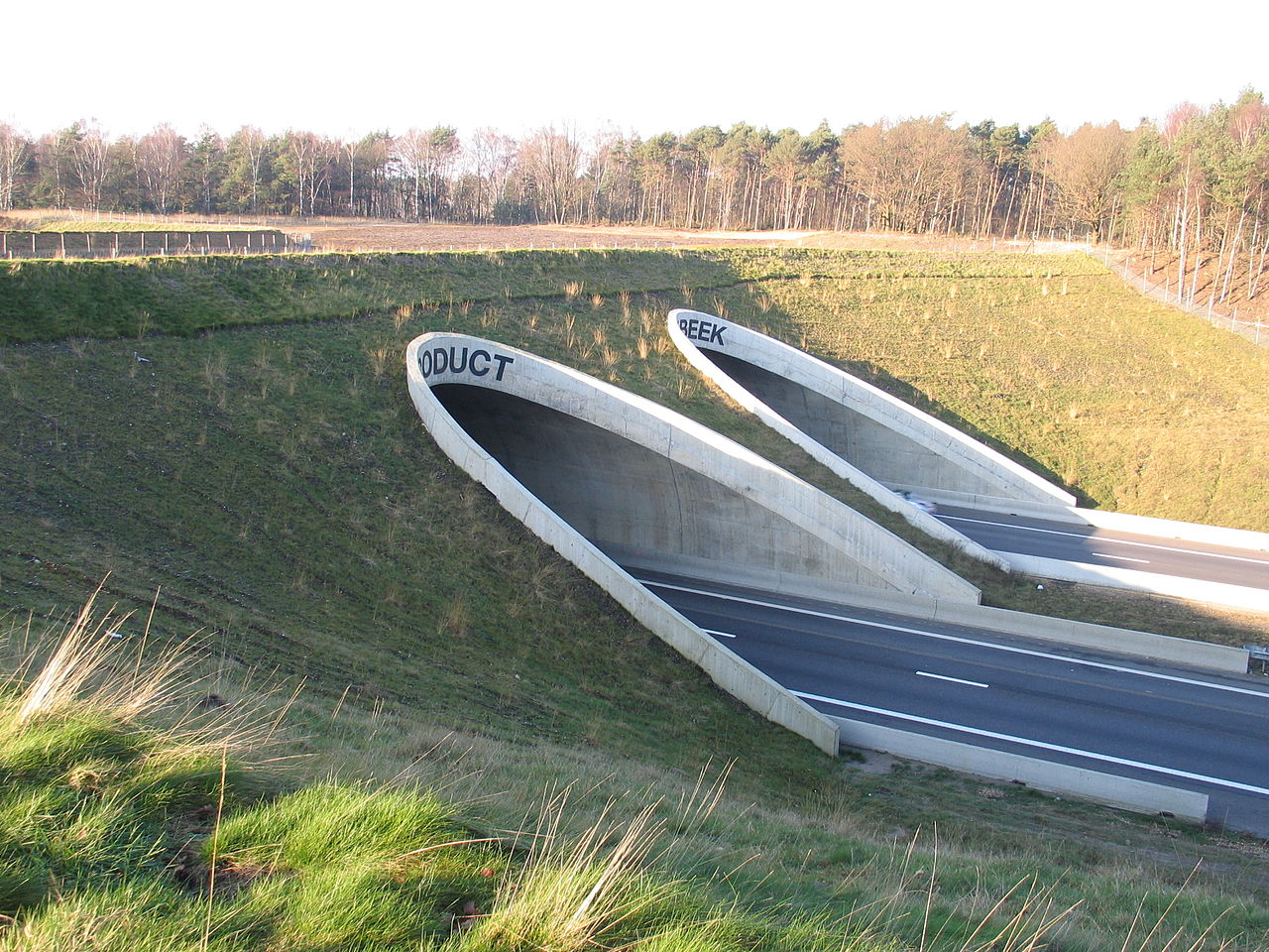 Ecoduct Kikbeek - Mechelen-aan-de-Maas A2 (E314)