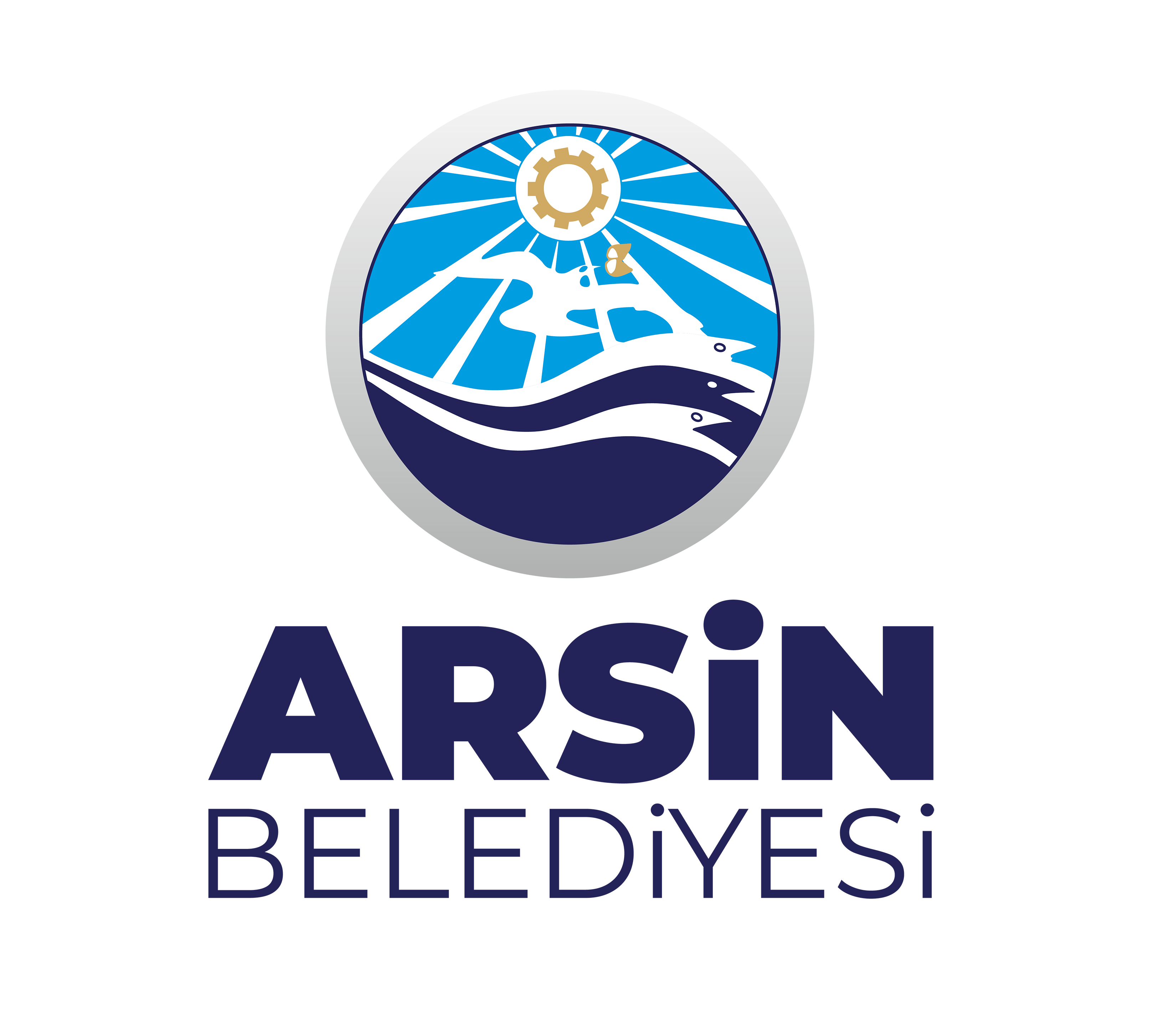 Arsin District