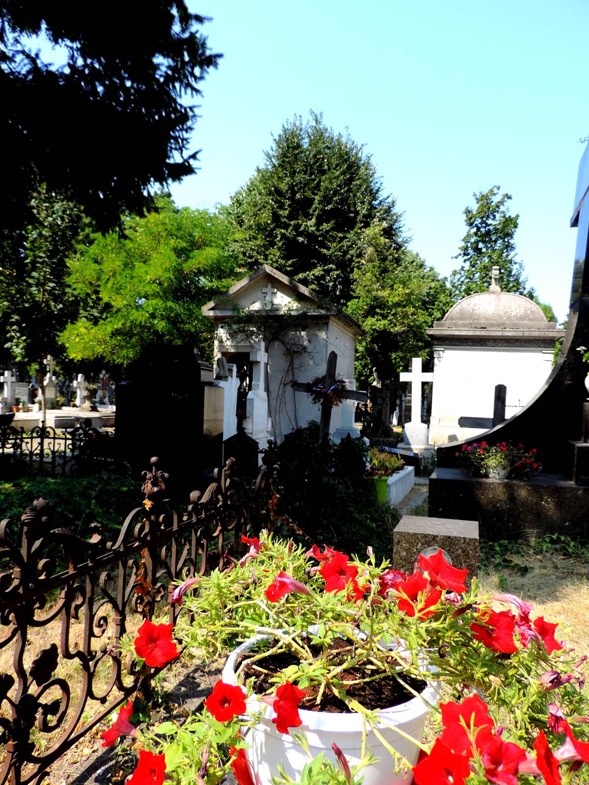Bellu catholic cemetery - Bucharest | catholicism