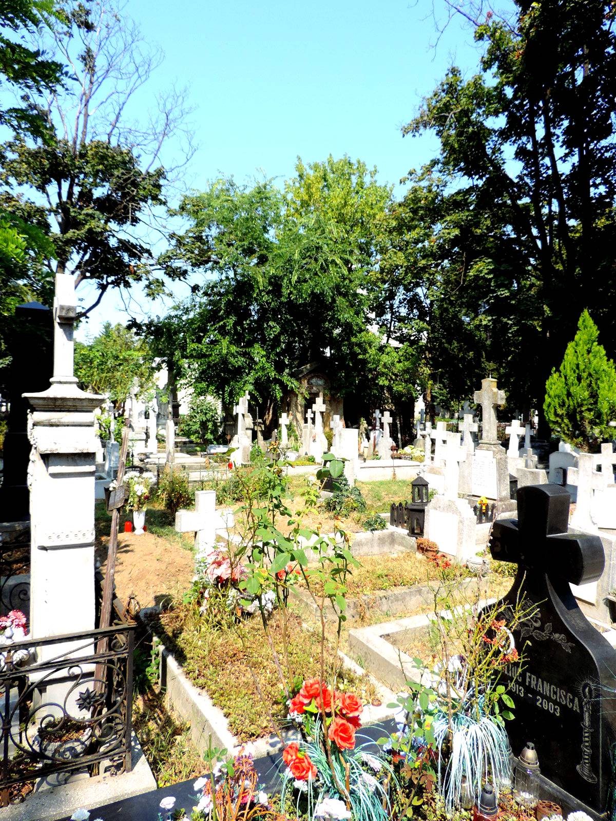 Bellu catholic cemetery - Bucharest | catholicism