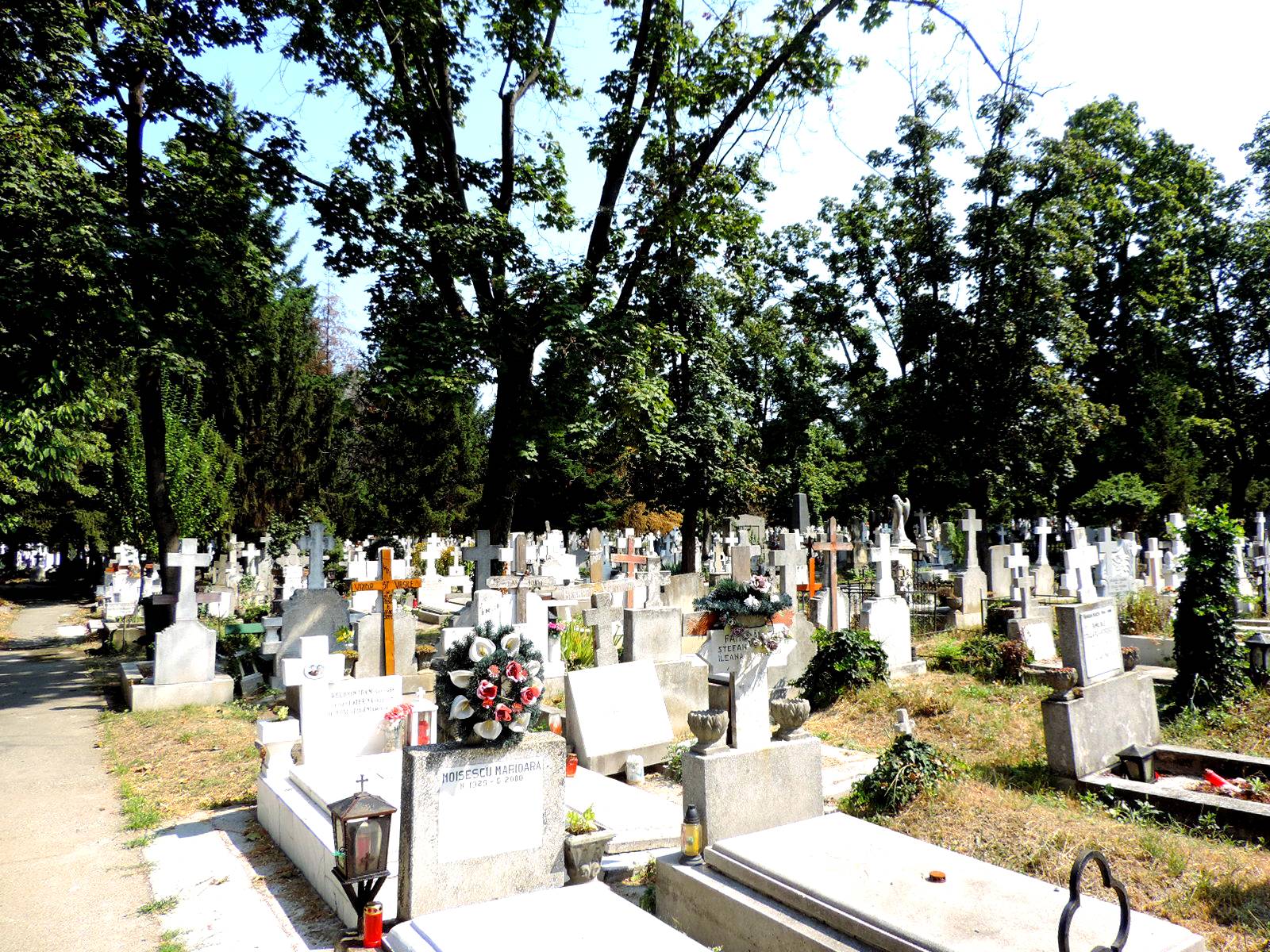 Bellu catholic cemetery - Bucharest | catholicism