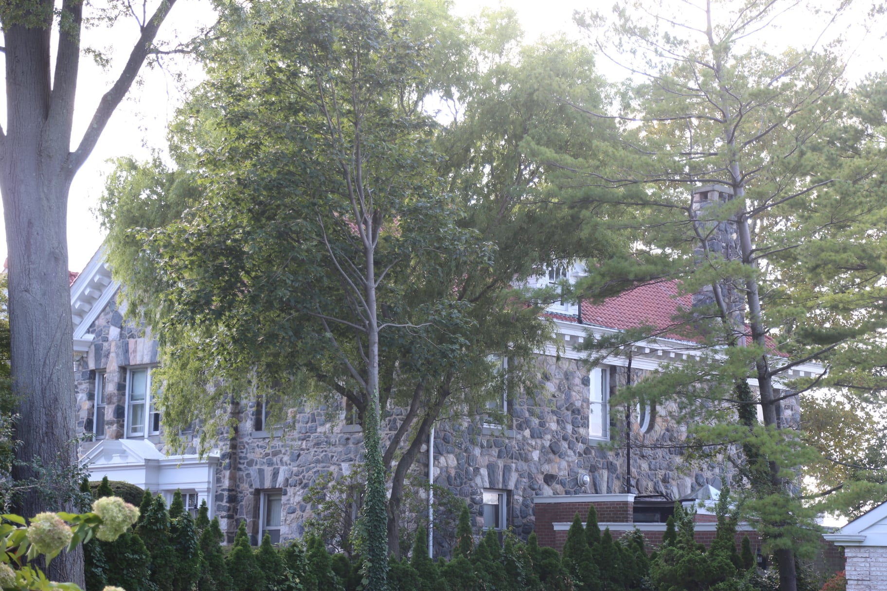 "Feu Follet" - Kings Point, New York