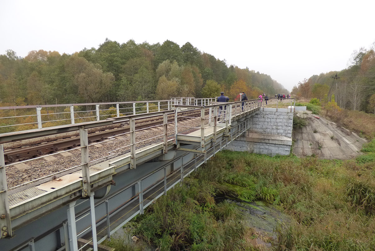 Raudtee sild | raudteesild