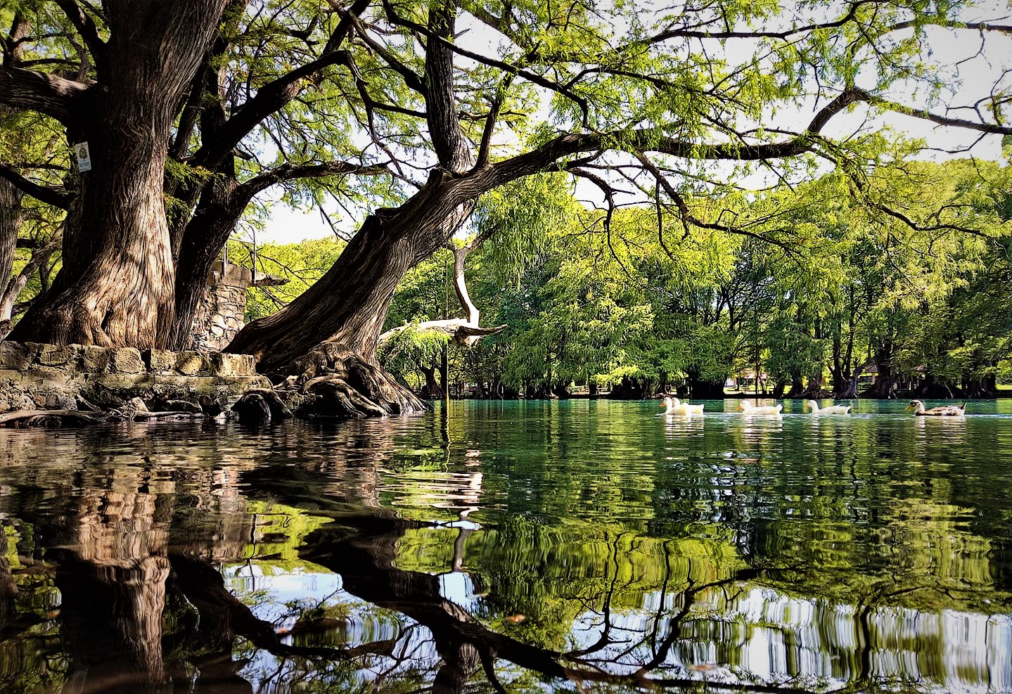 Lago de Camecuaro, Michoacan