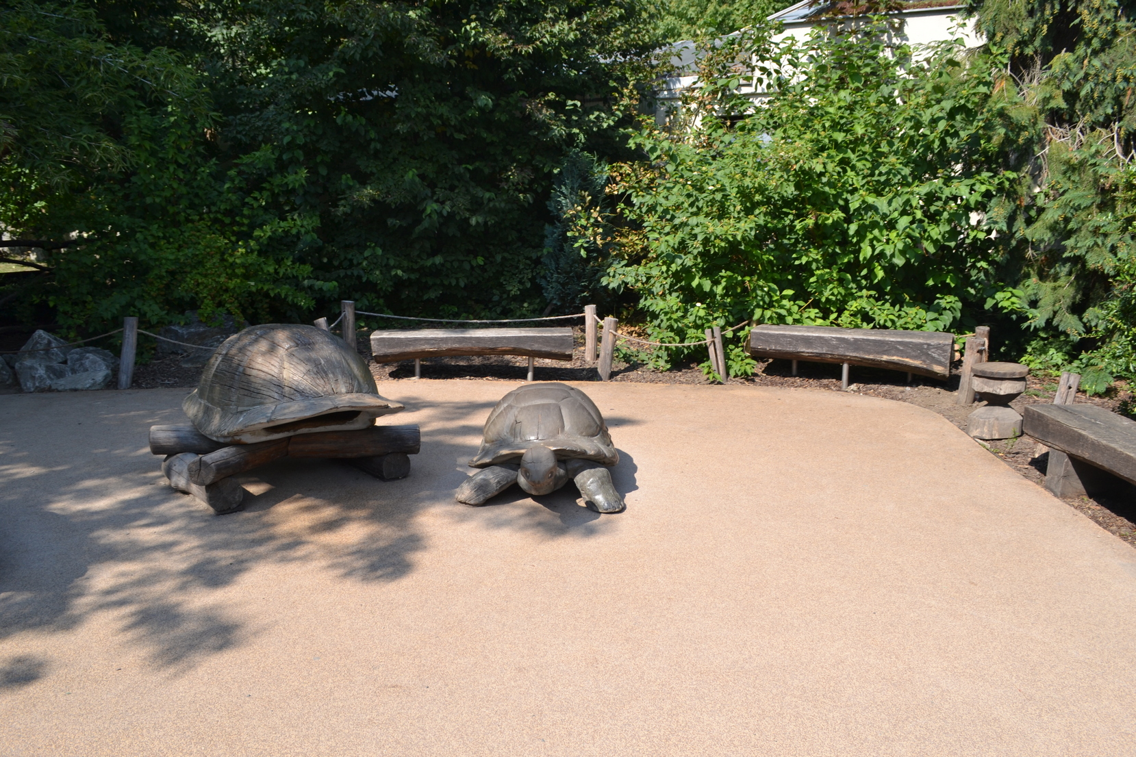 Tortoises - Prague | interesting place