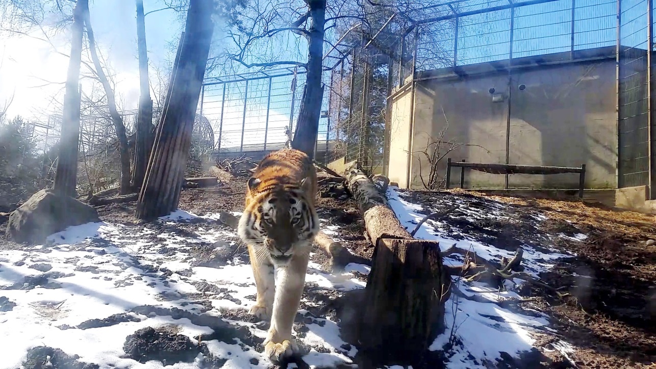 Korkeasaari Zoo - Helsinki