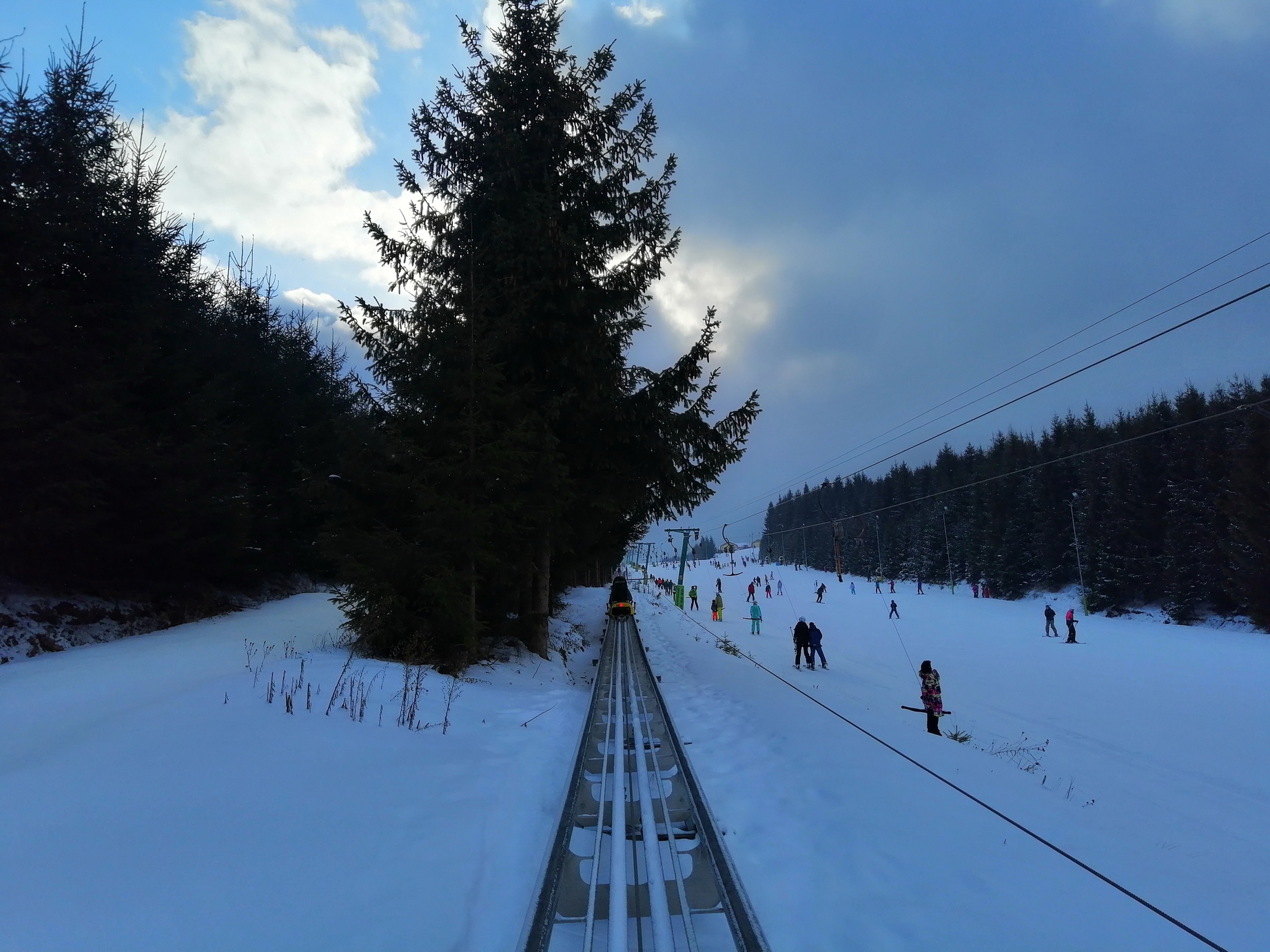 Bob - Alpine Coaster Toplita