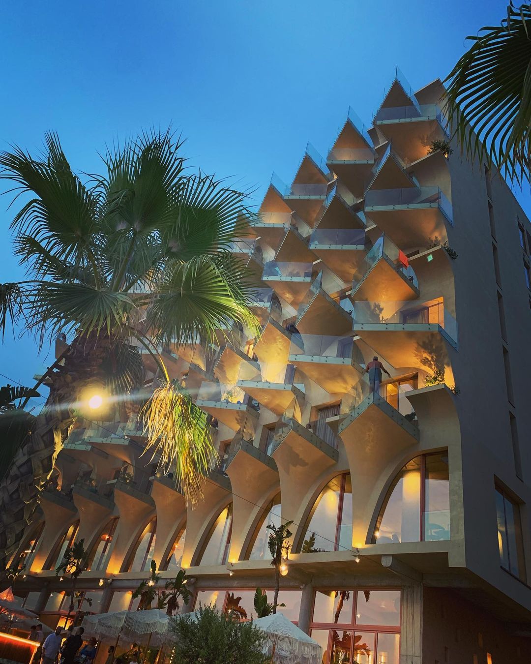 Epidamn White Sensation