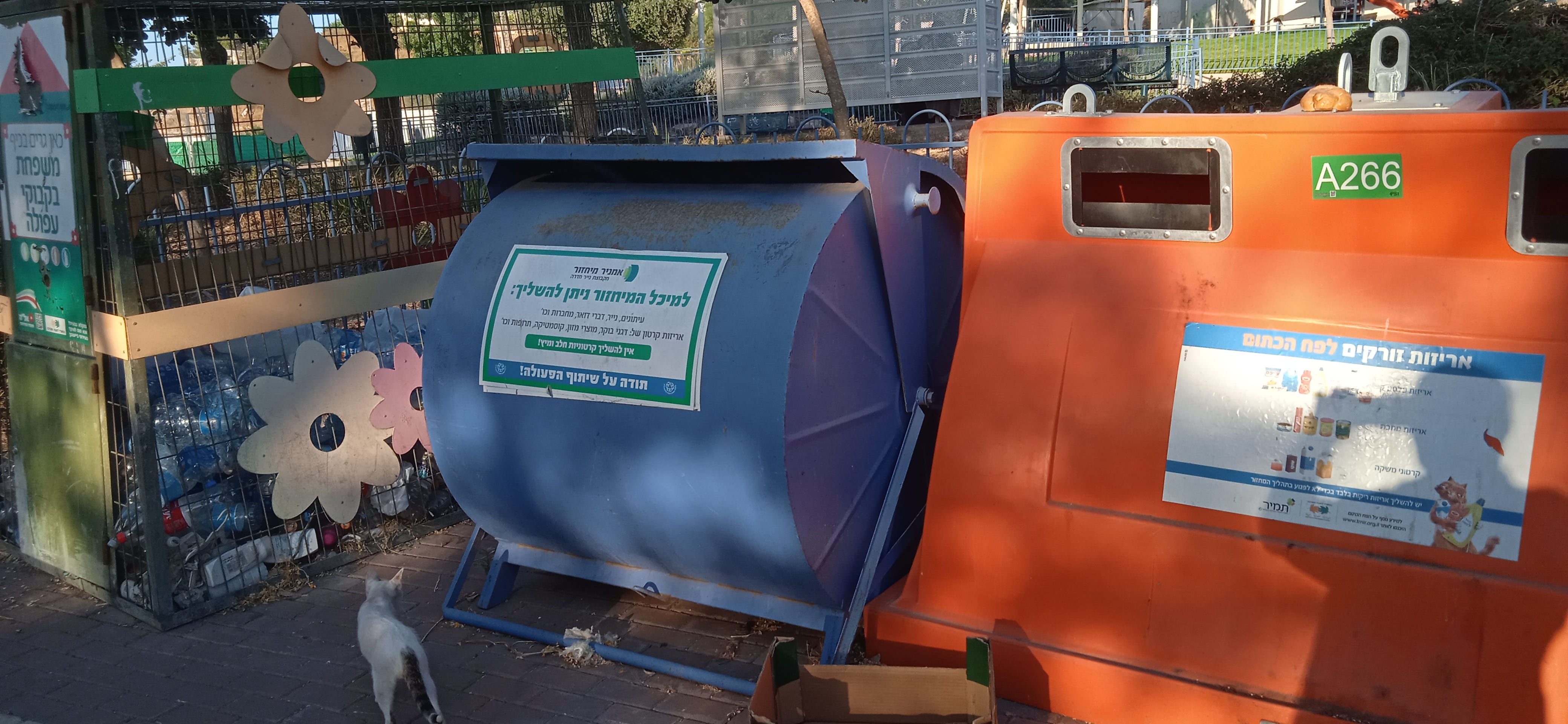 Paper Cardboard Collection Box - Afula