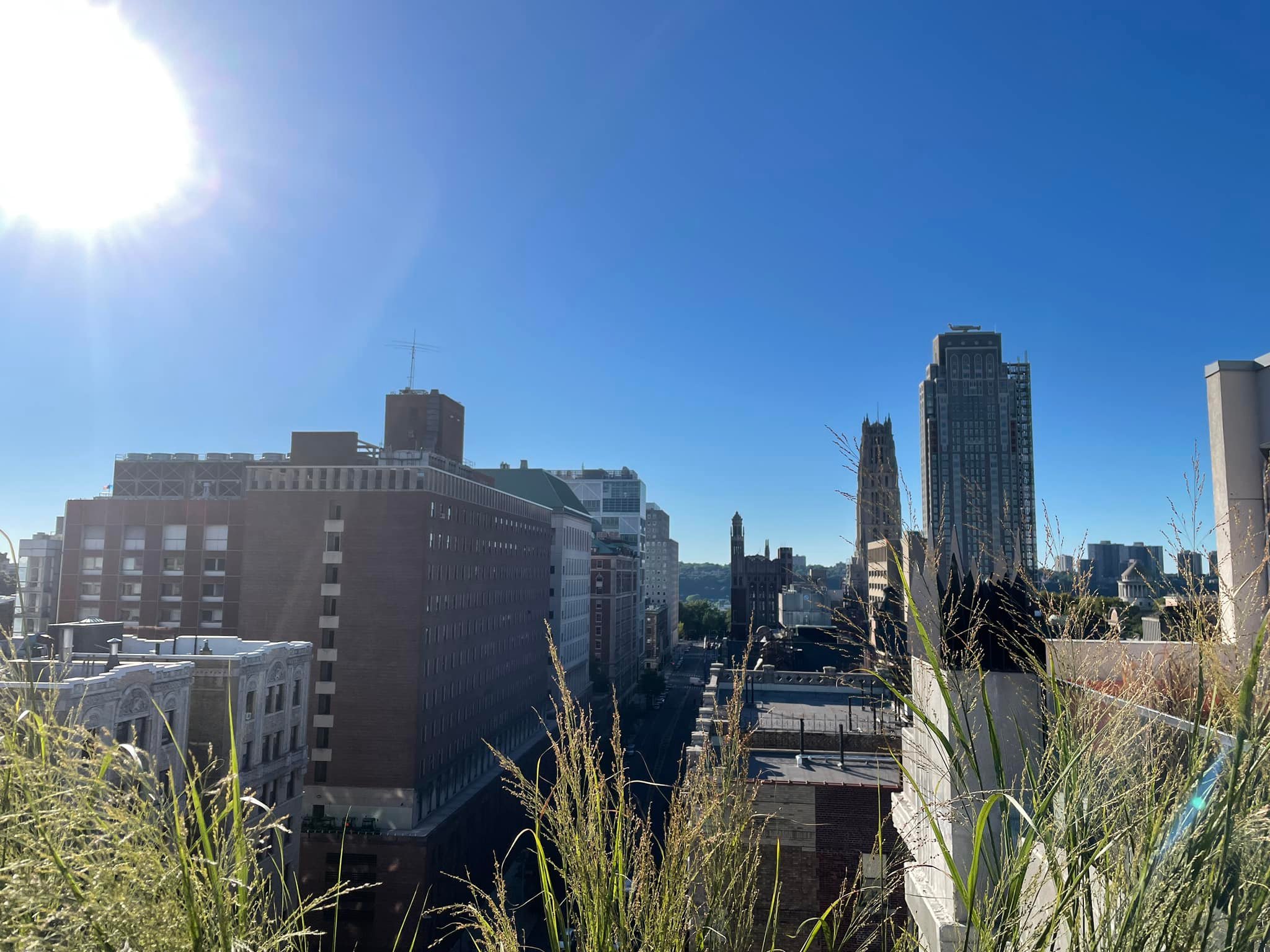 Monarch Heights Apartments Rooftop Terrace