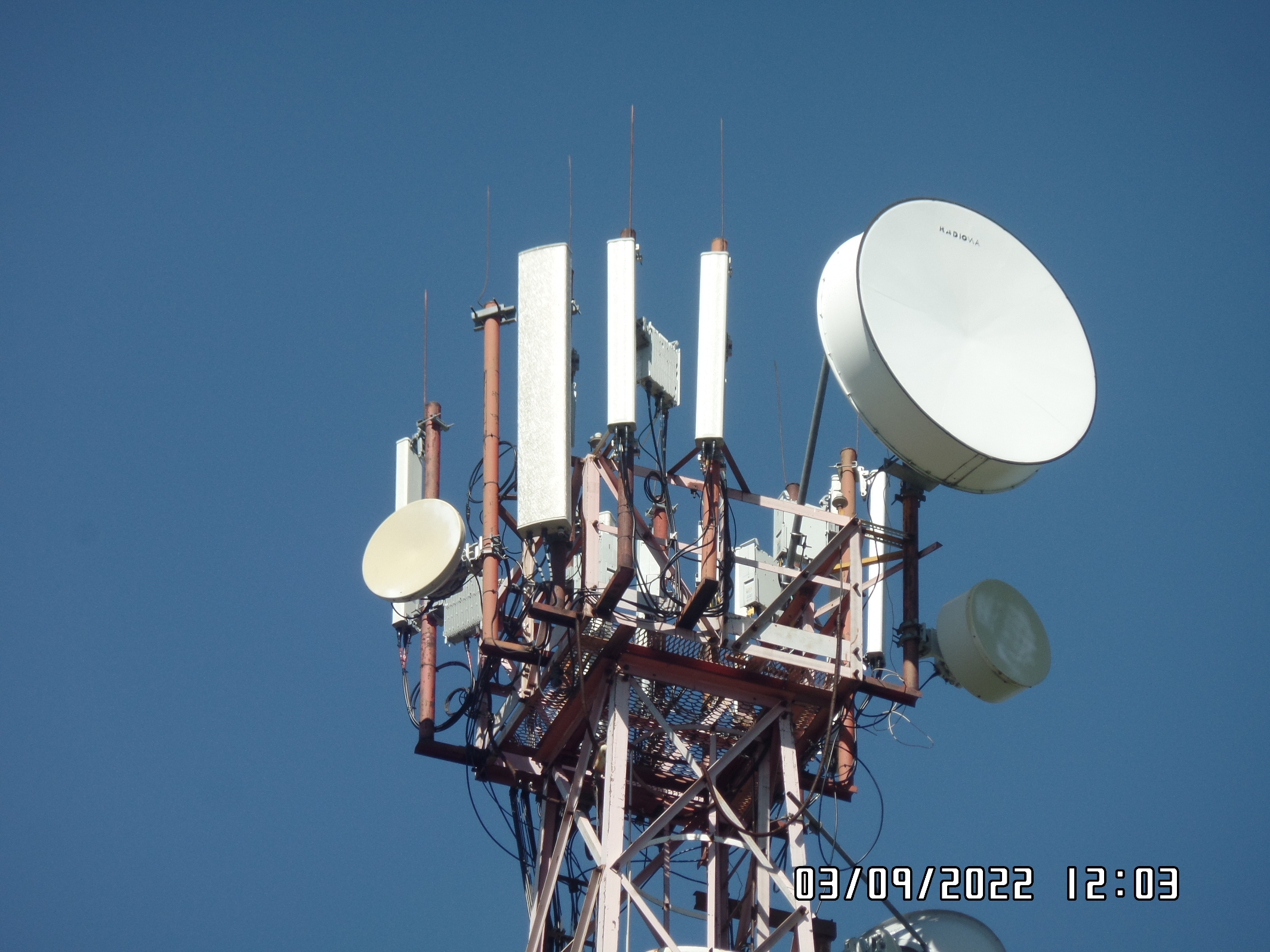 Базовая станция № 83919 «Валдгейм» сети подвижной радиотелефонной связи ...