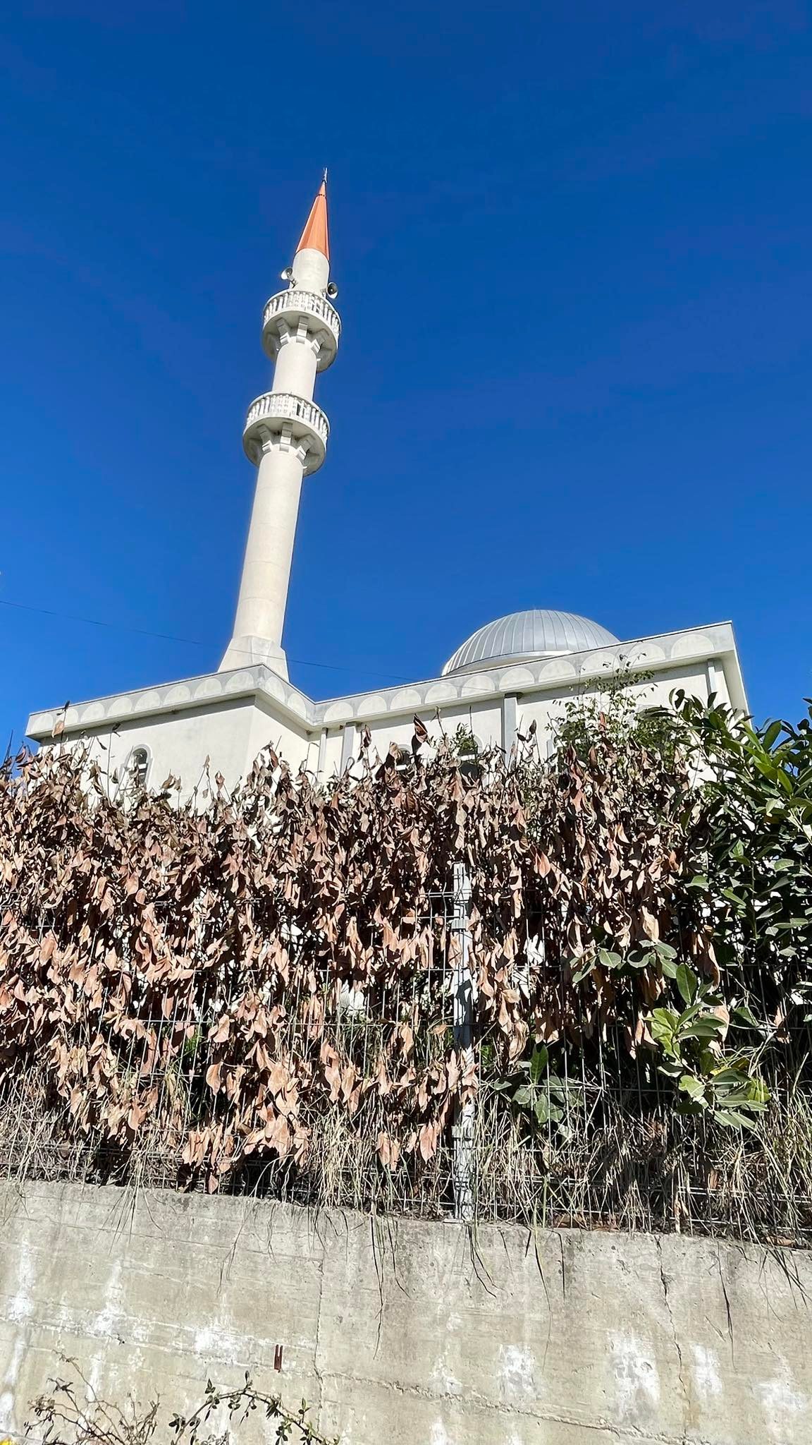 Mosque - Bushat