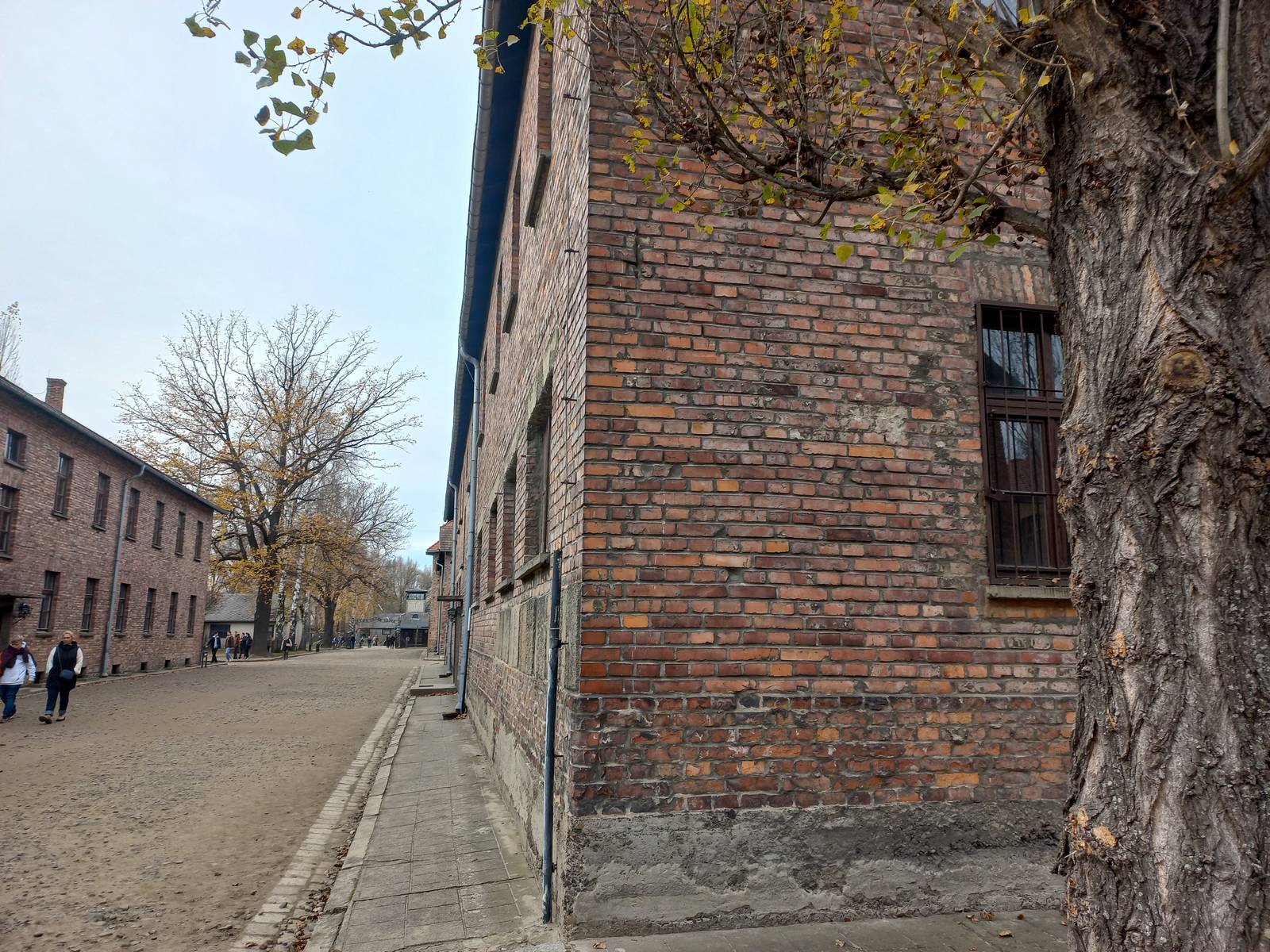 Block 14 (Soviet exposition) - Oświęcim