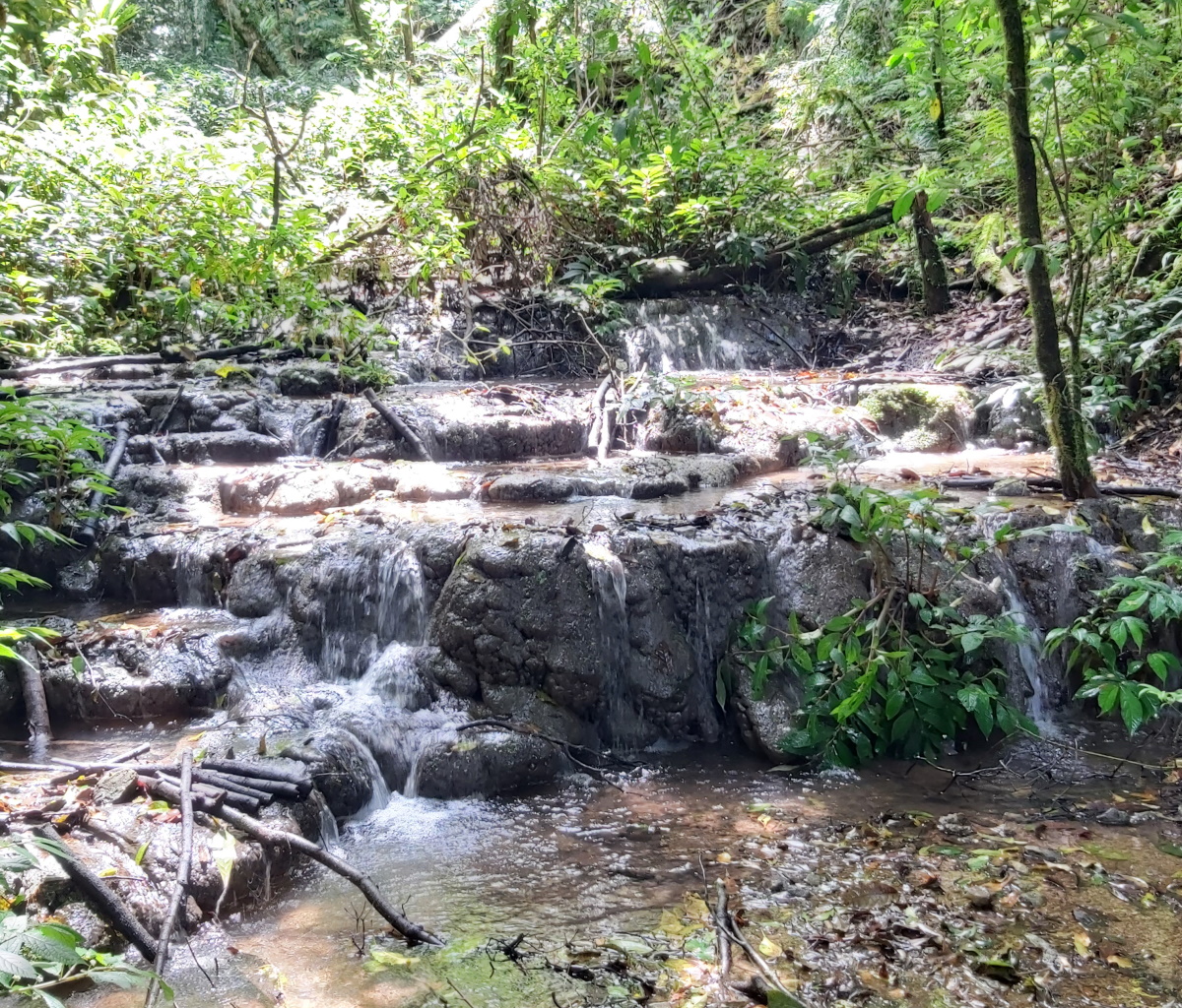 Flow-stone deposits in the creek flowing from the River Cave
