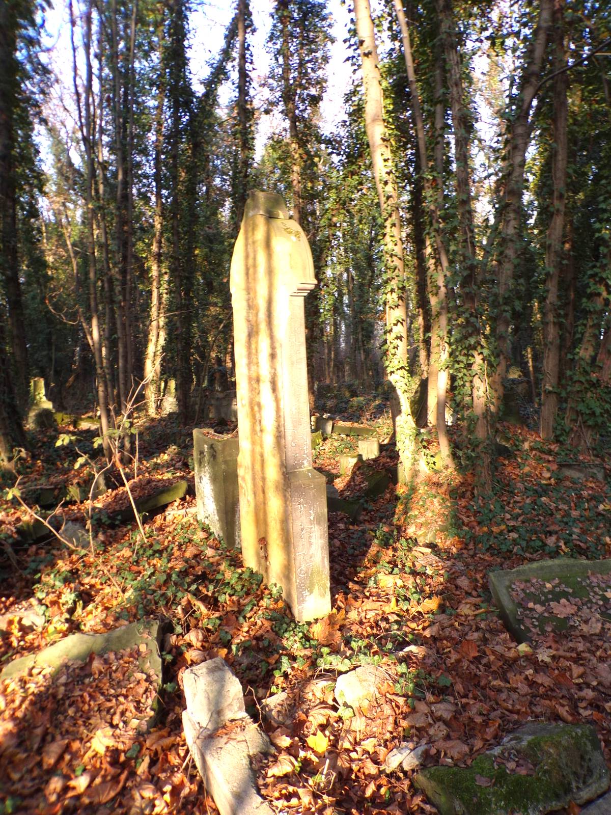 Jewish cemetery - Czestochowa