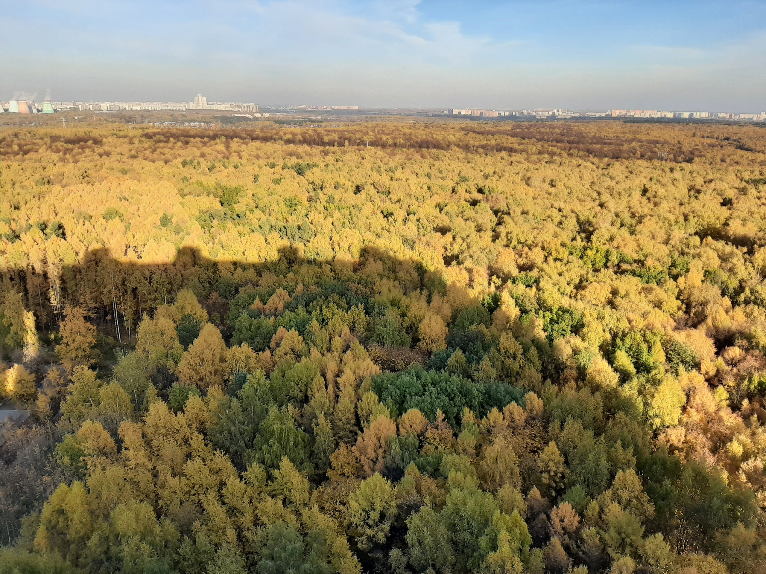 Butovsky forest park - Moscow