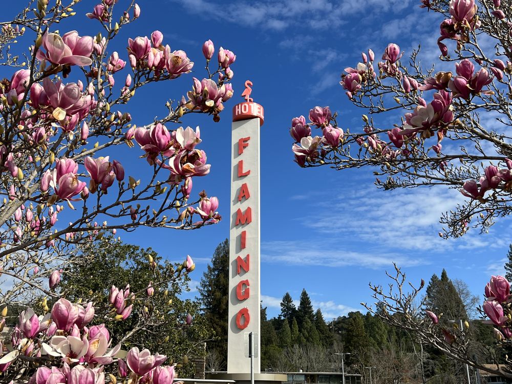 Flamingo Resort - Santa Rosa, California