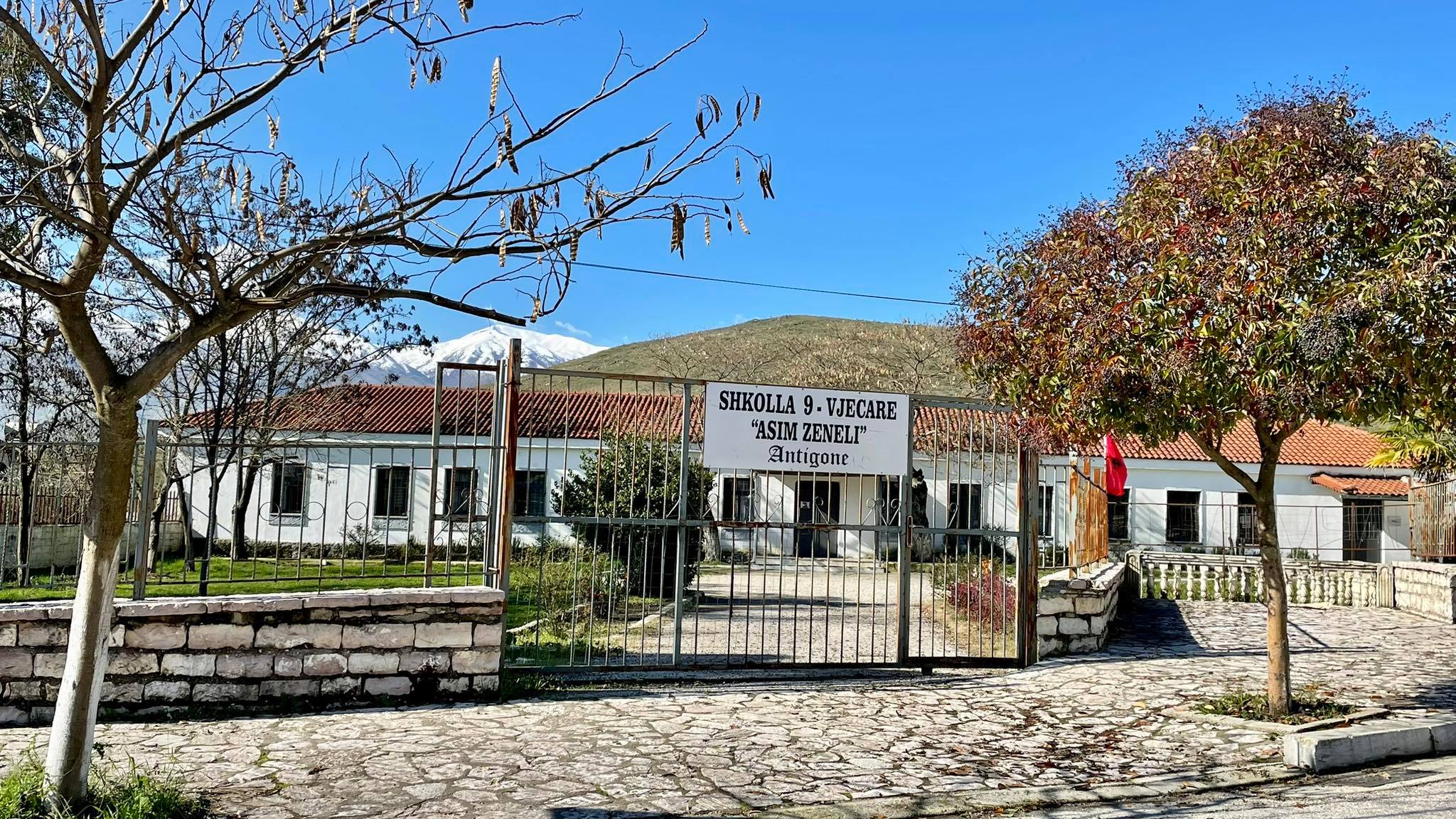 School - Asim Zeneli