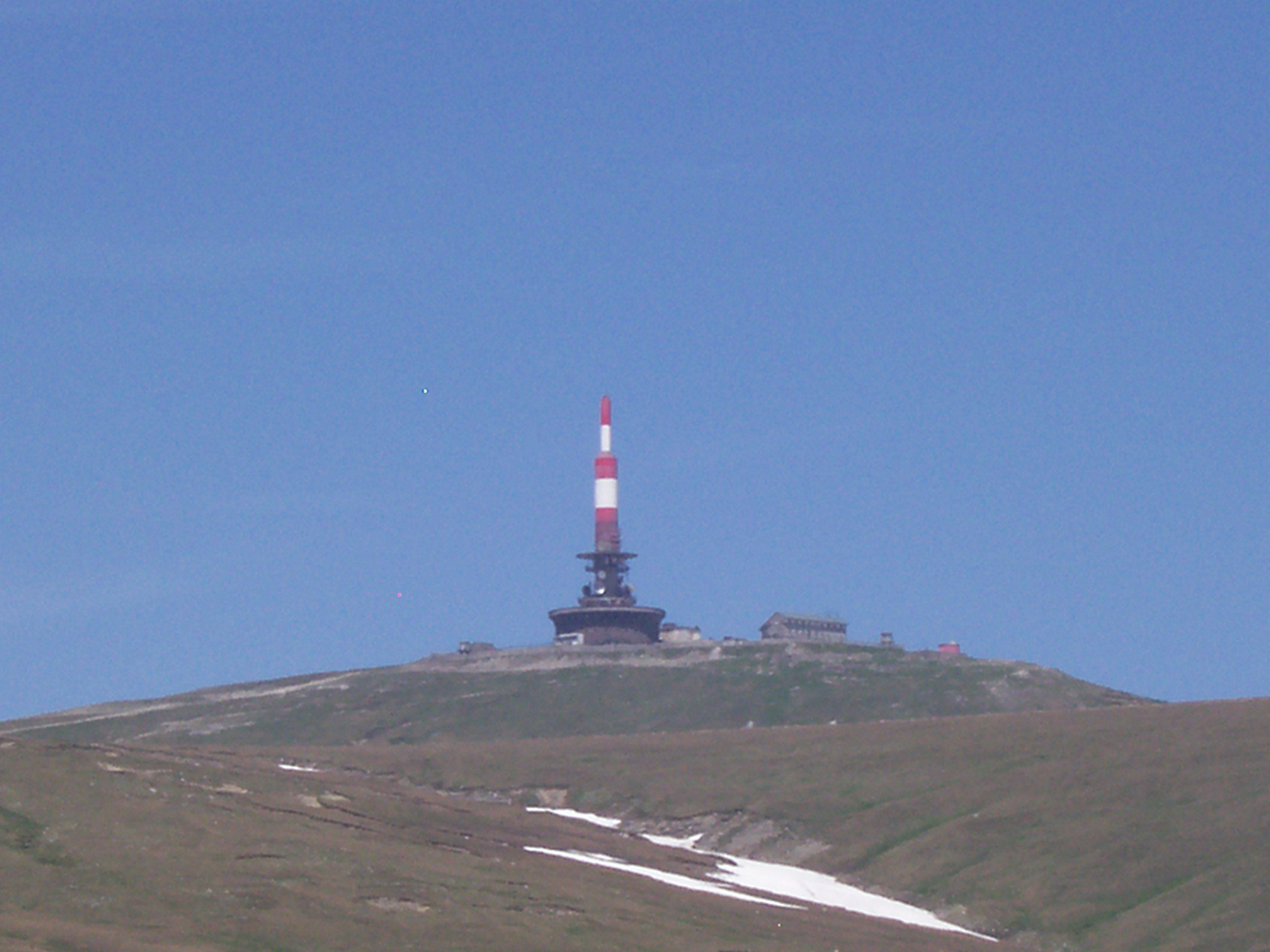 Releul Coștila (Română)