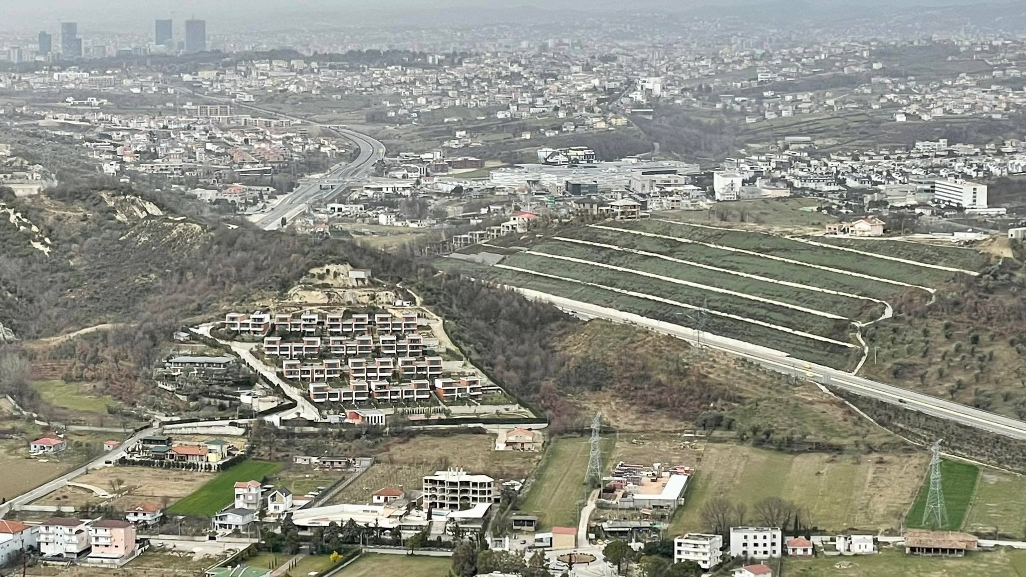 The Olive Grove (English)