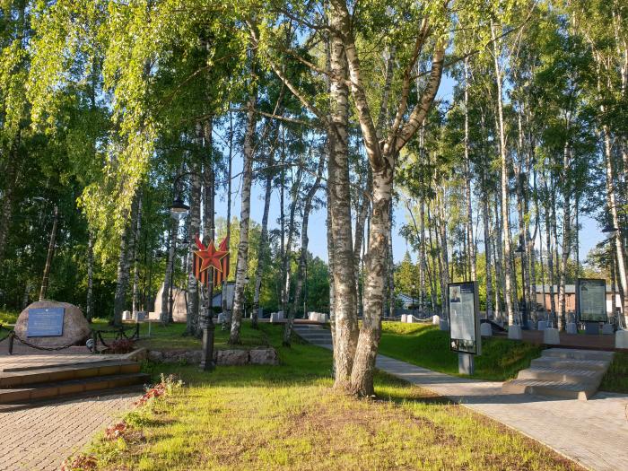 Vysotsk — Overview