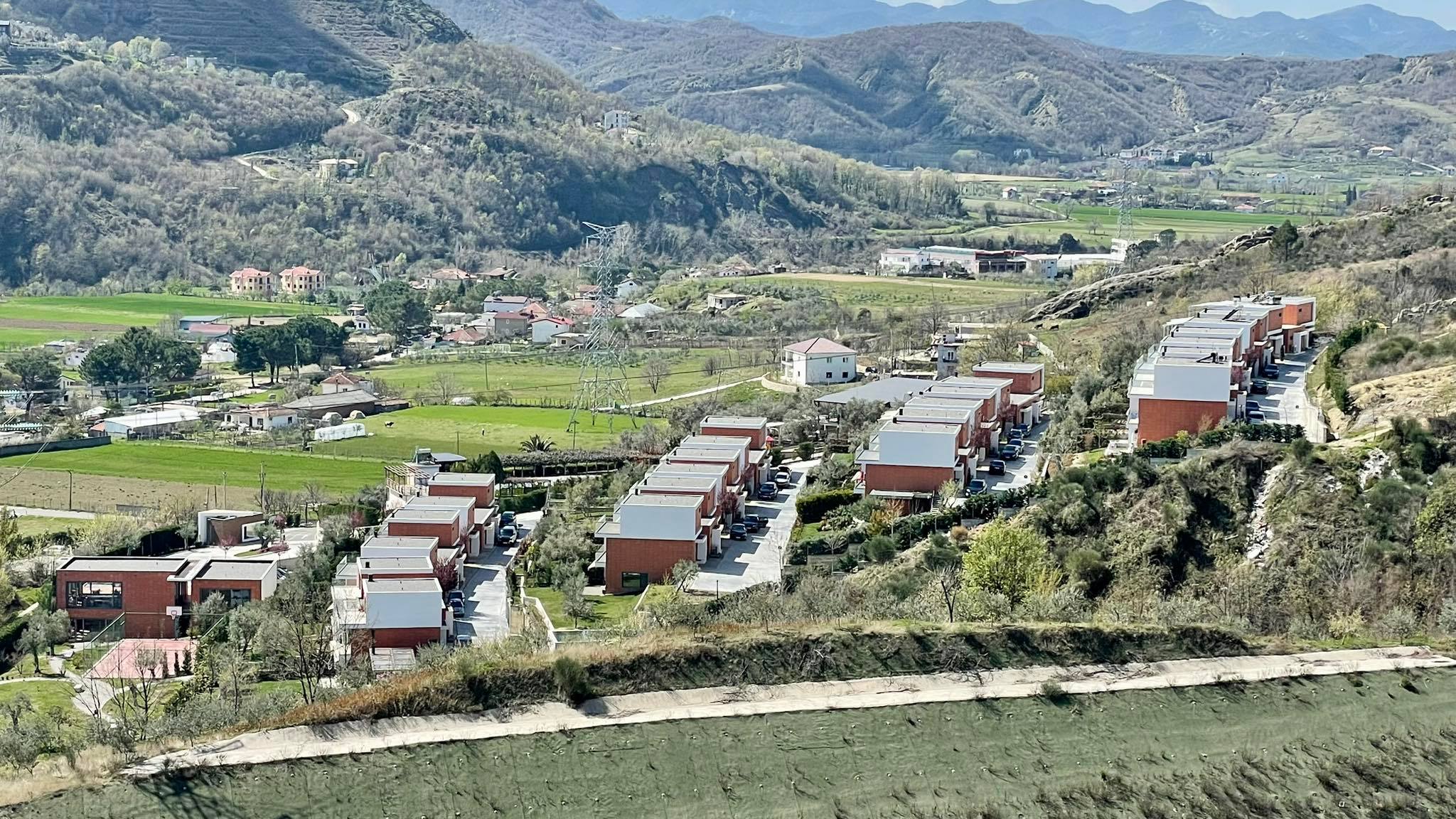 The Olive Grove (English)