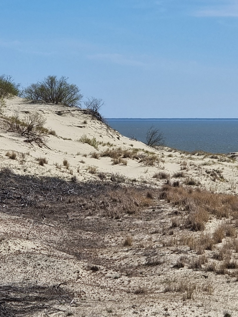 Curonian Lagoon | bay