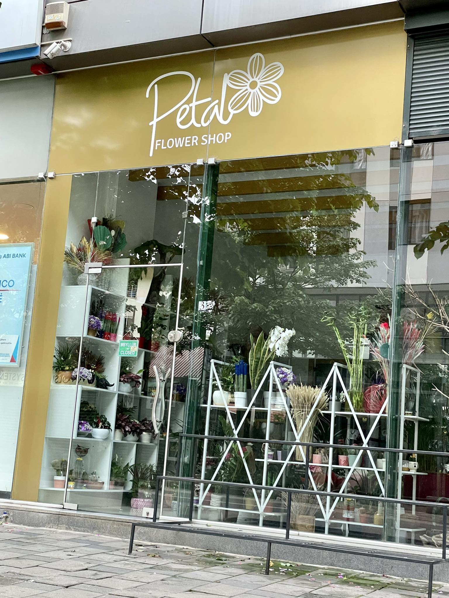 Petal Flower Shop - Tirana