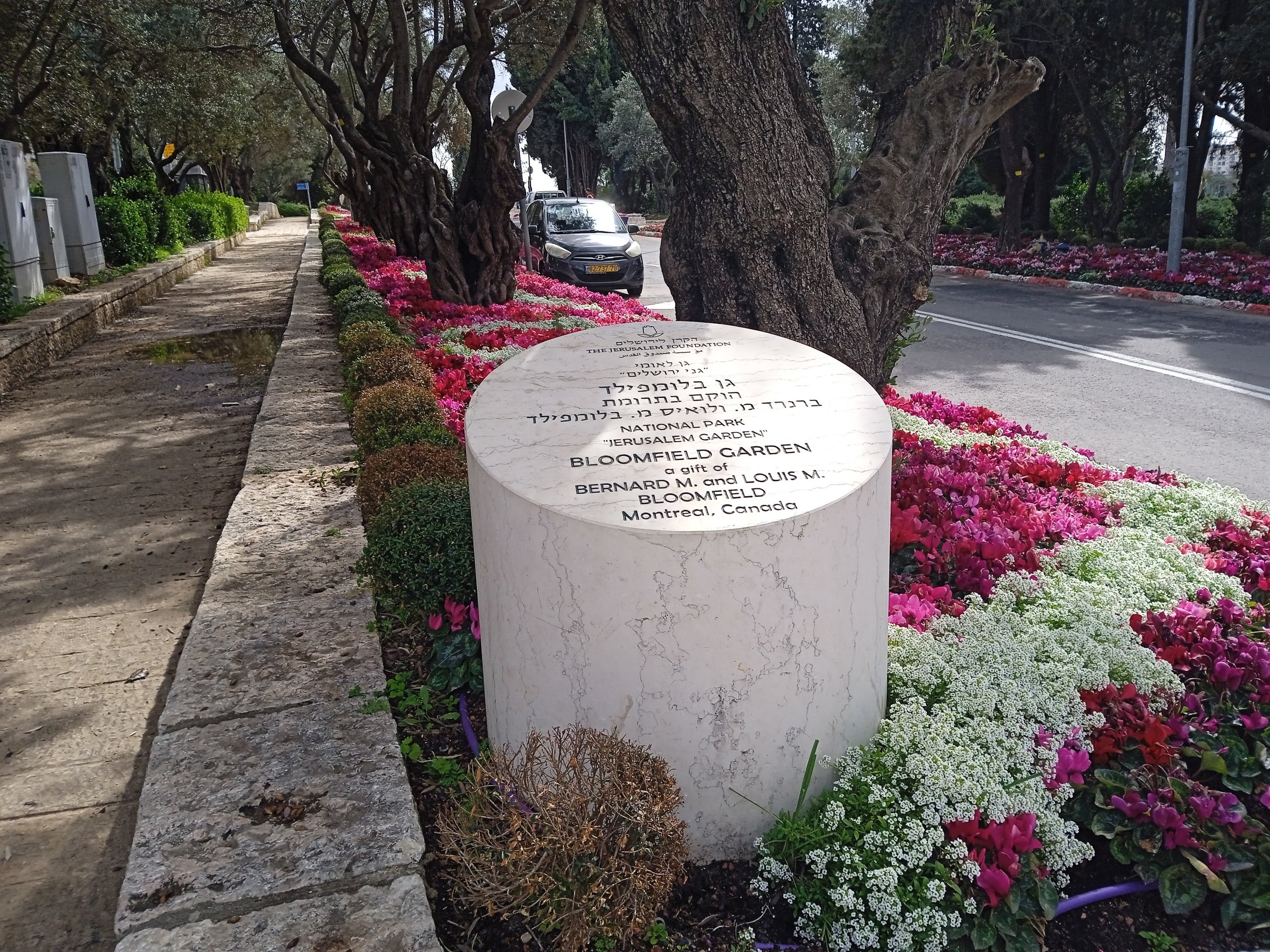 Blumfeld Garden - Jerusalem