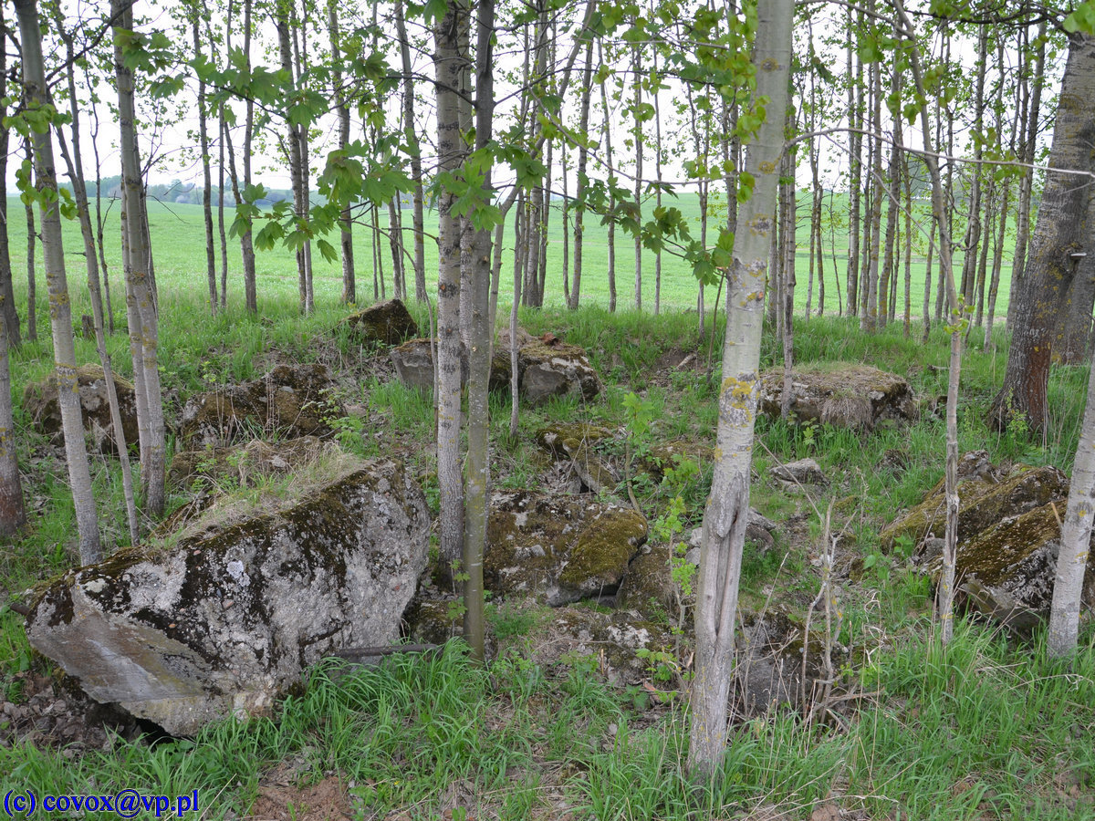 Lembruk: FuMG-65 Würzburg-Riese (Seestern)