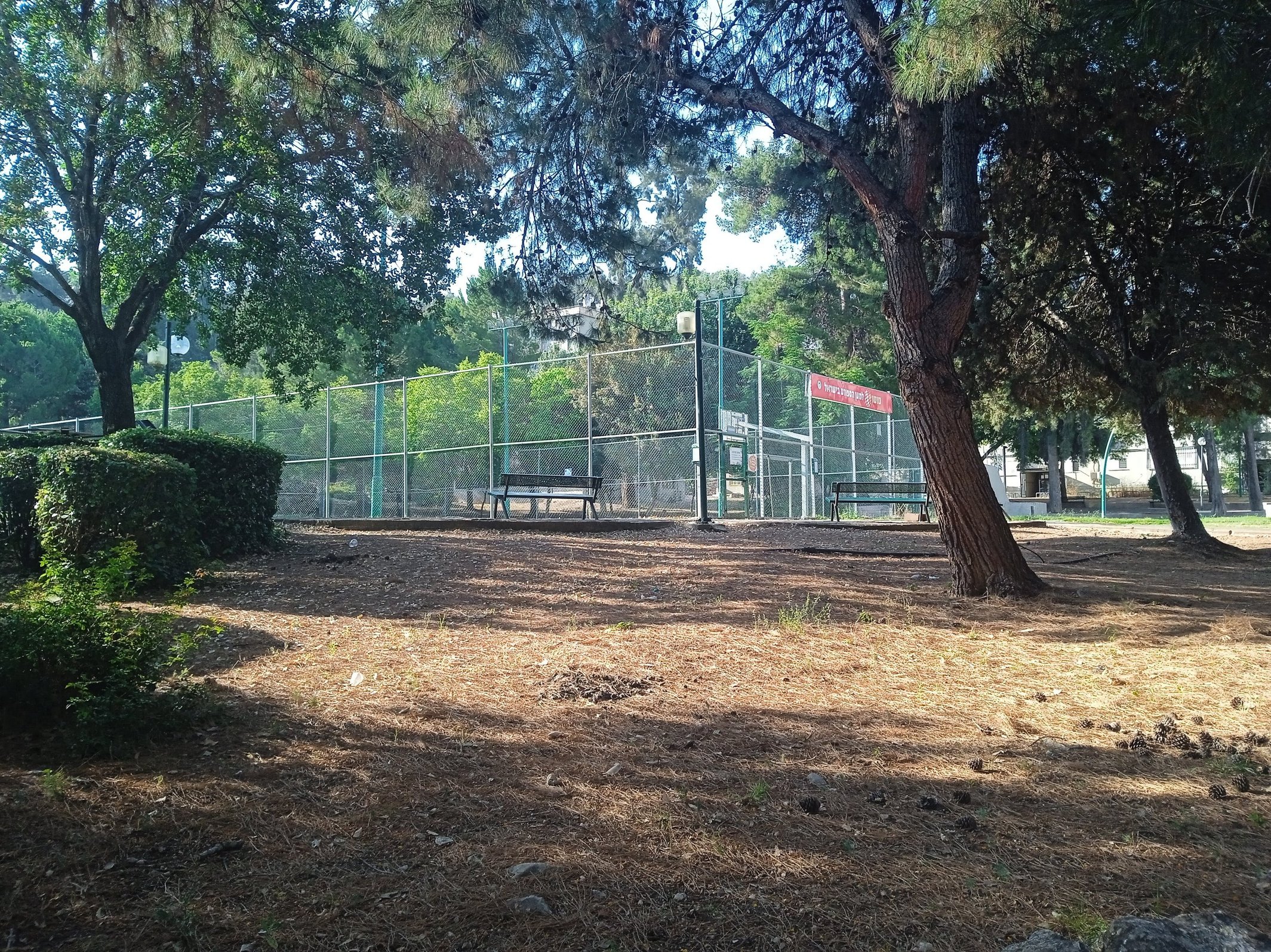 Sports Ground - Yokneam Illit