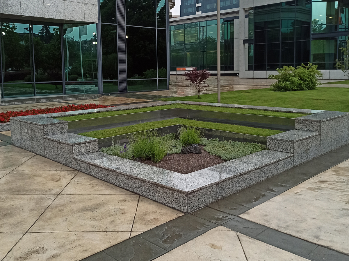 Mini flower plant - Belgrade