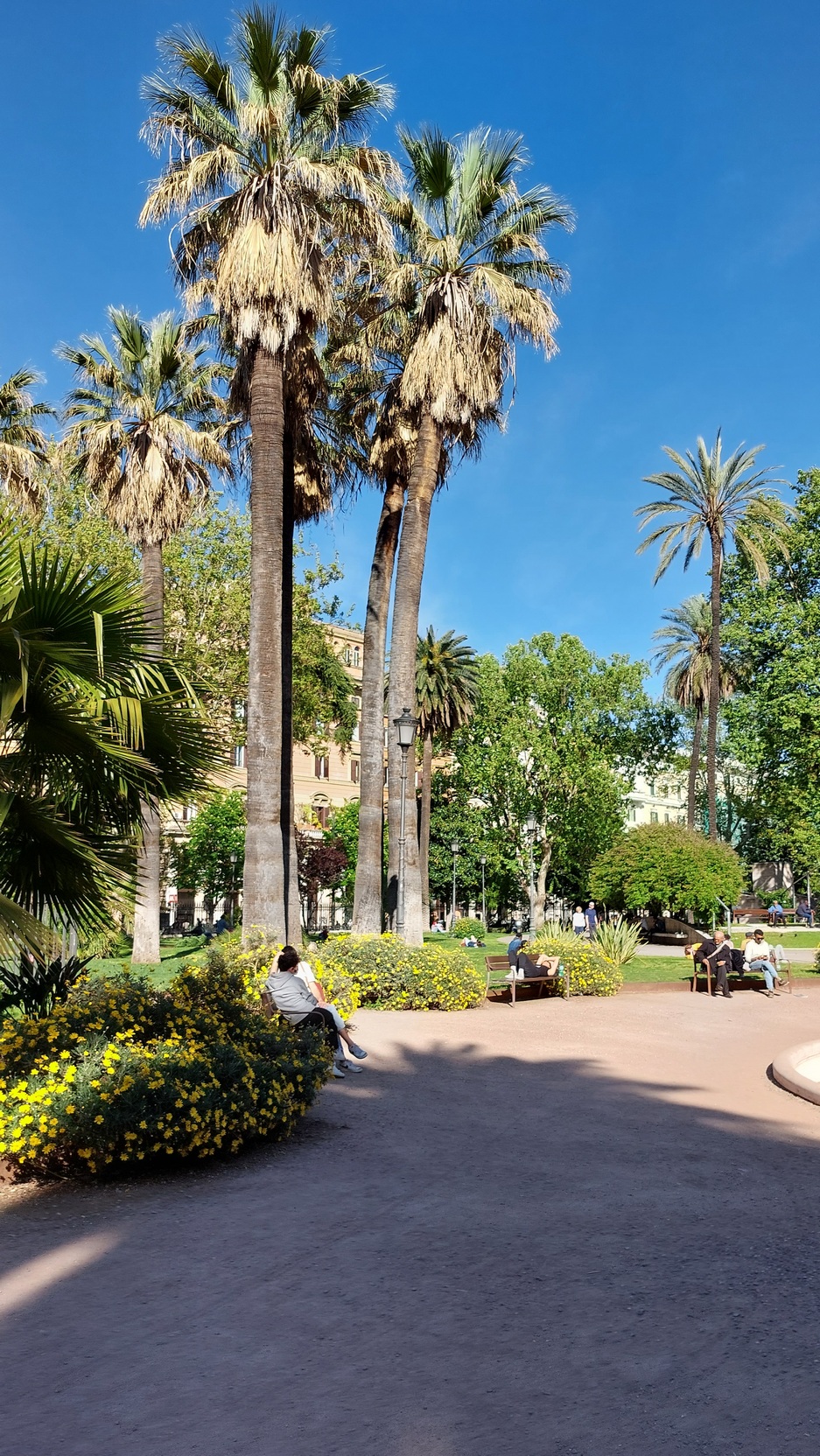 Piazza Vittorio Emanuele II - Rome