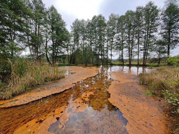 Popovsky spring - Popovka
