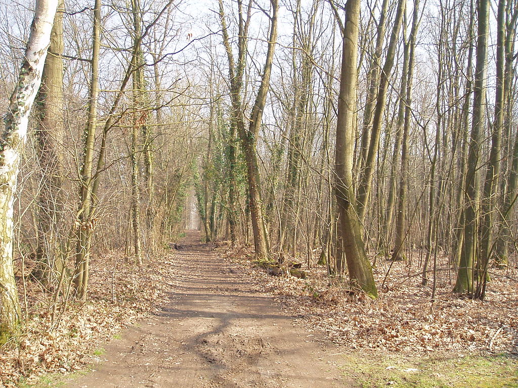 Tessenderlo (municipality)