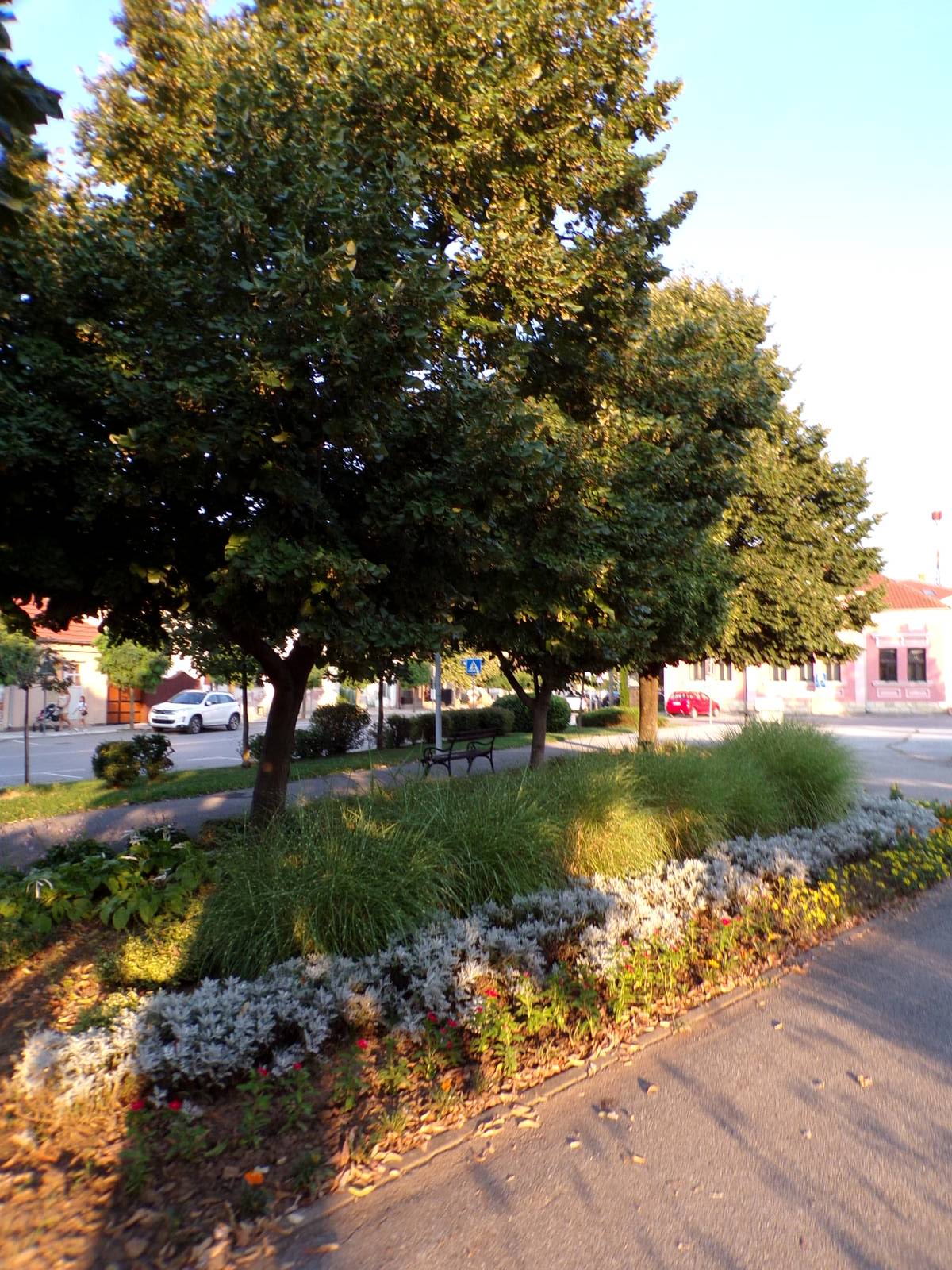 Park - Svilajnac | green area