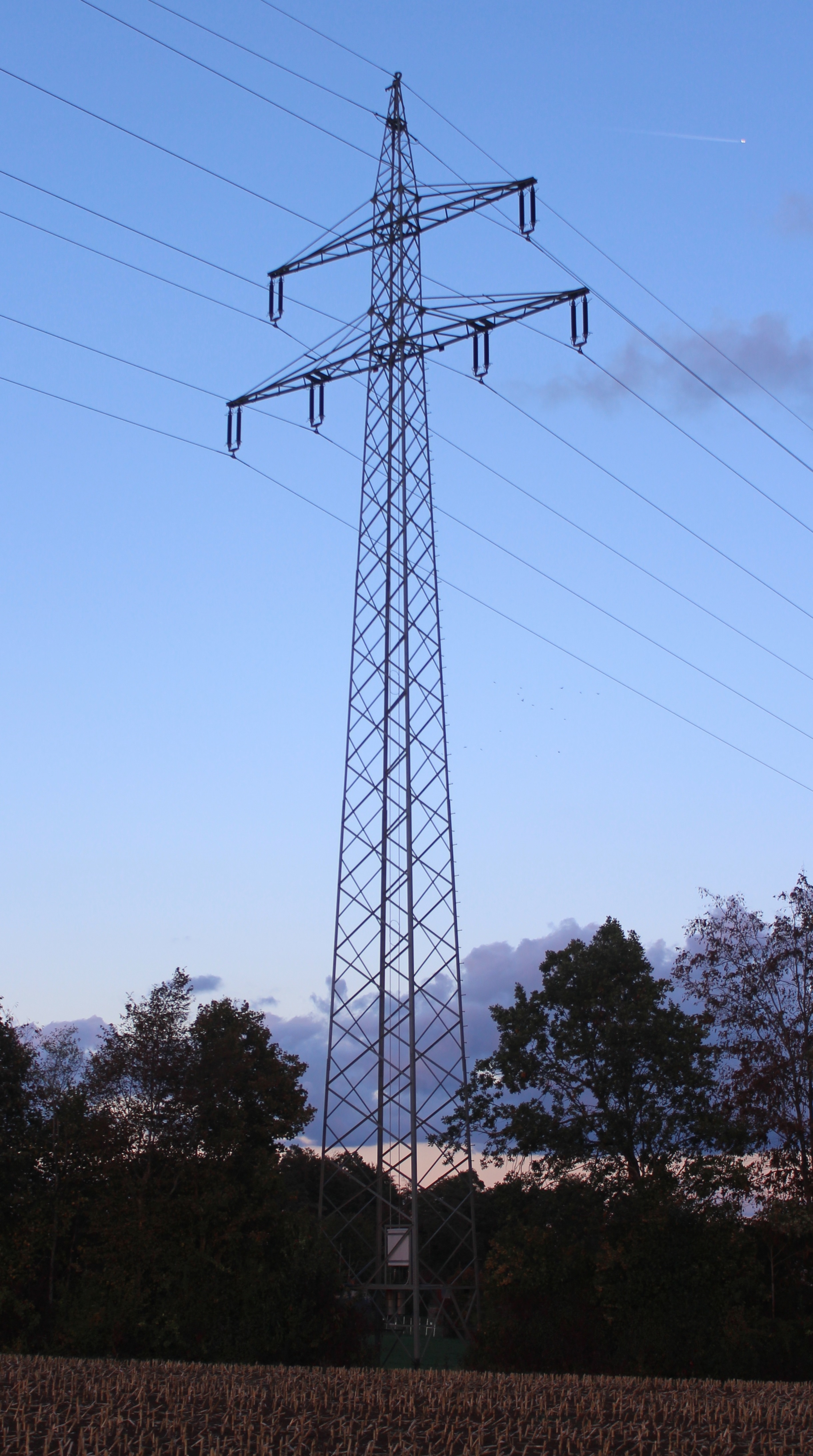 Anlage 620, Mast 13 | Freileitungsmast