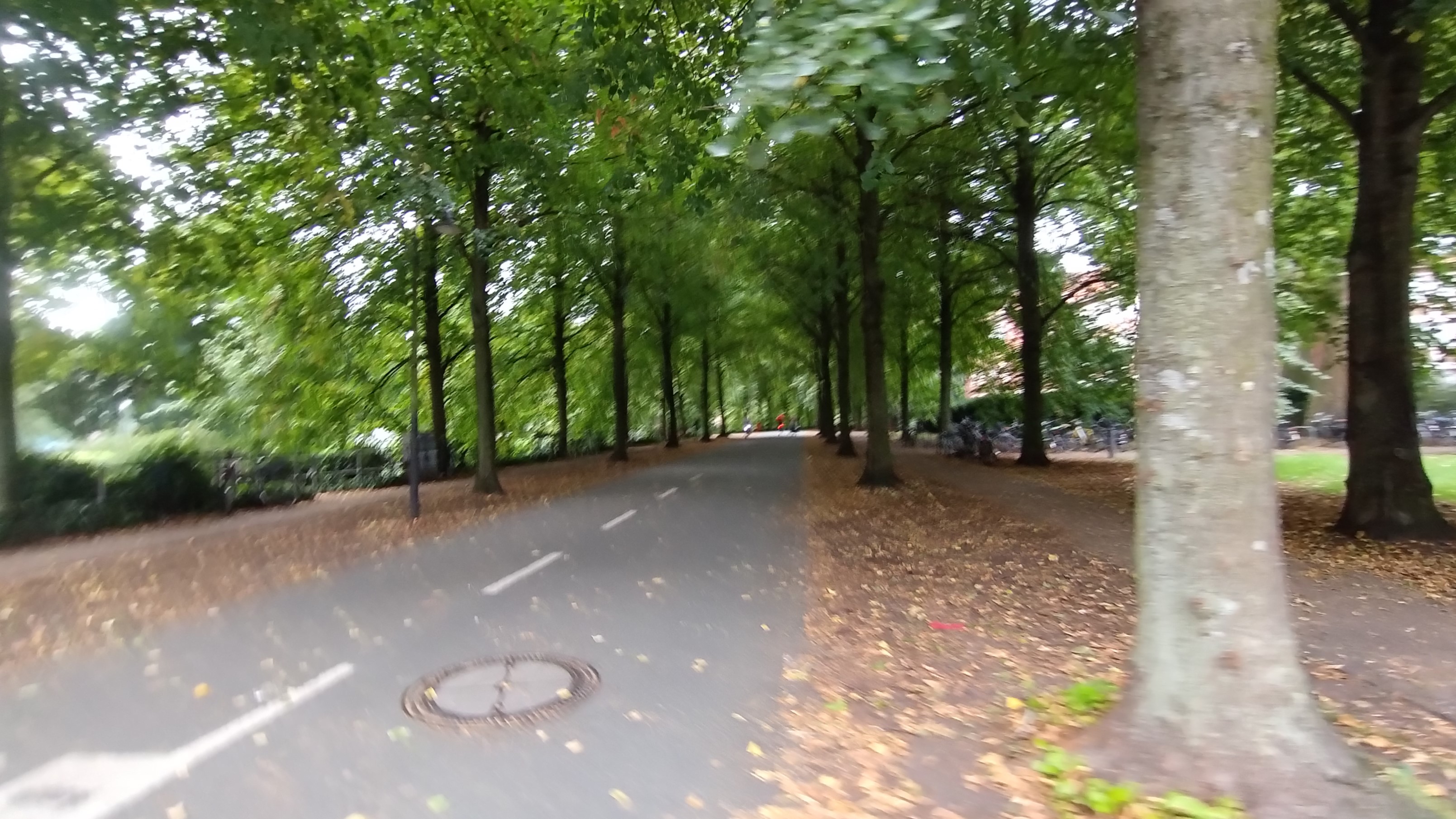 Promenade Münster - Münster