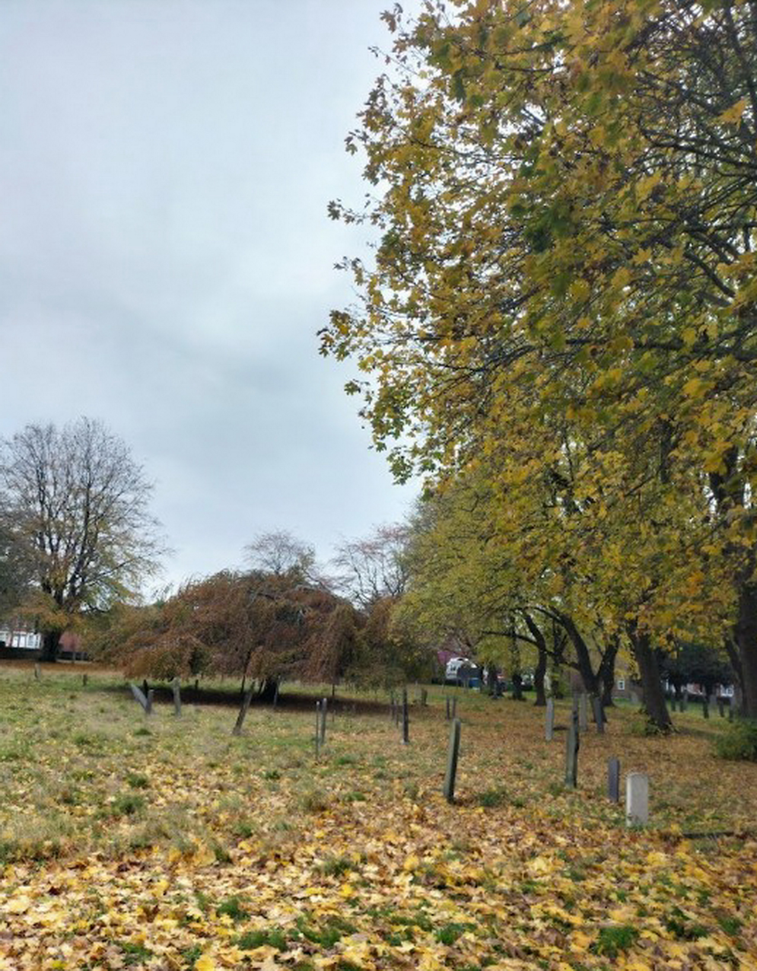 Basford Cemetery - Nottingham