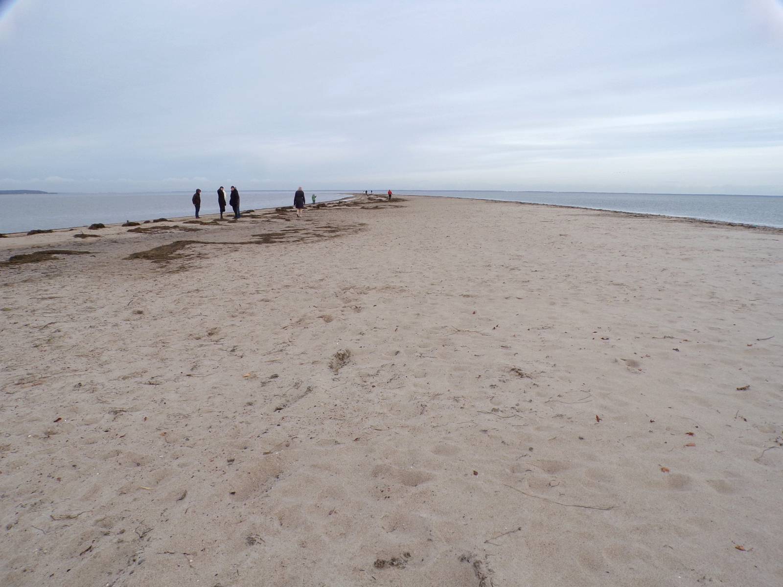 De zandbank van Rewa