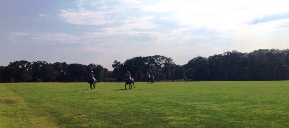 Bethpage Polo Field