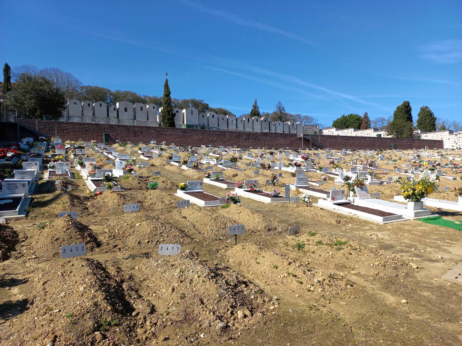 Traditional cemetery - Lisbon