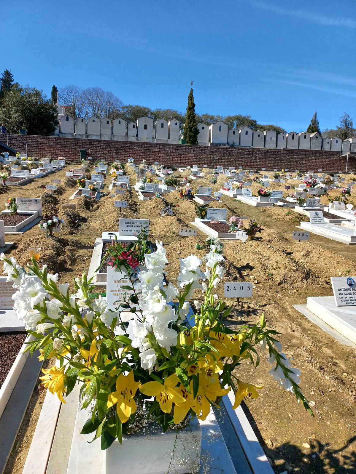 Traditional cemetery - Lisbon