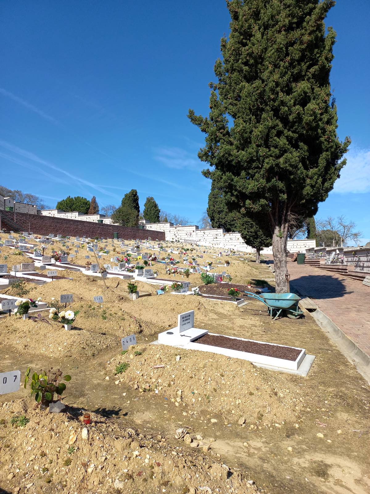 Traditional cemetery - Lisbon