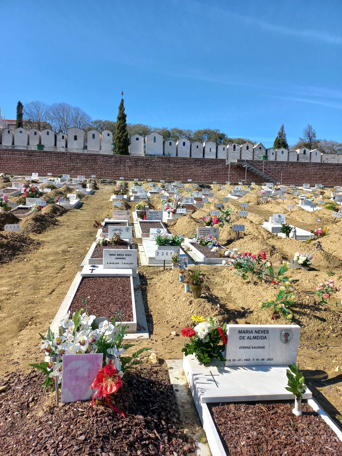 Traditional cemetery - Lisbon