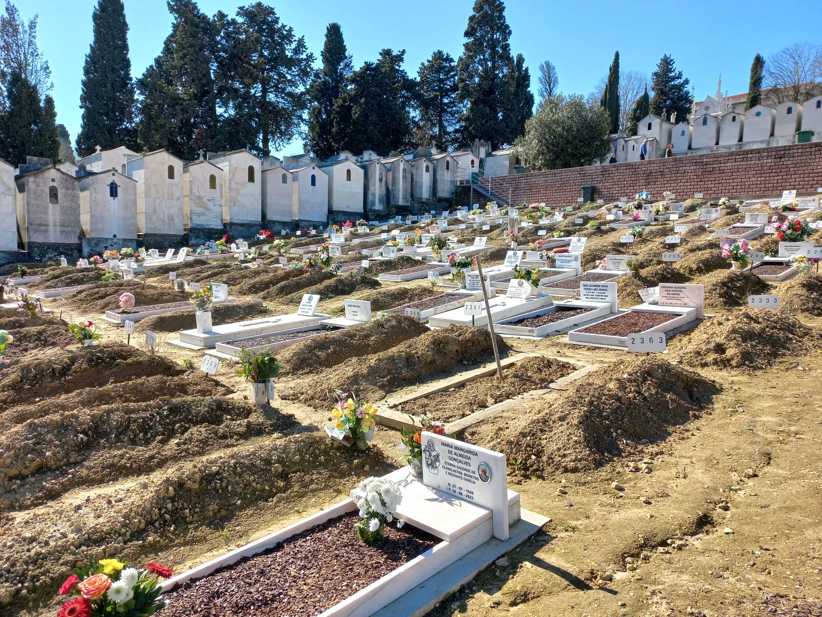 Traditional cemetery - Lisbon