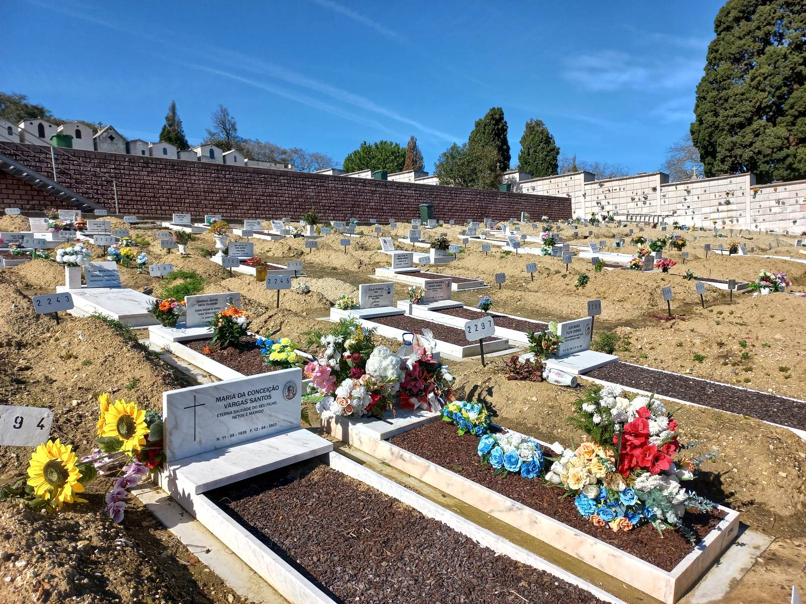 Traditional cemetery - Lisbon