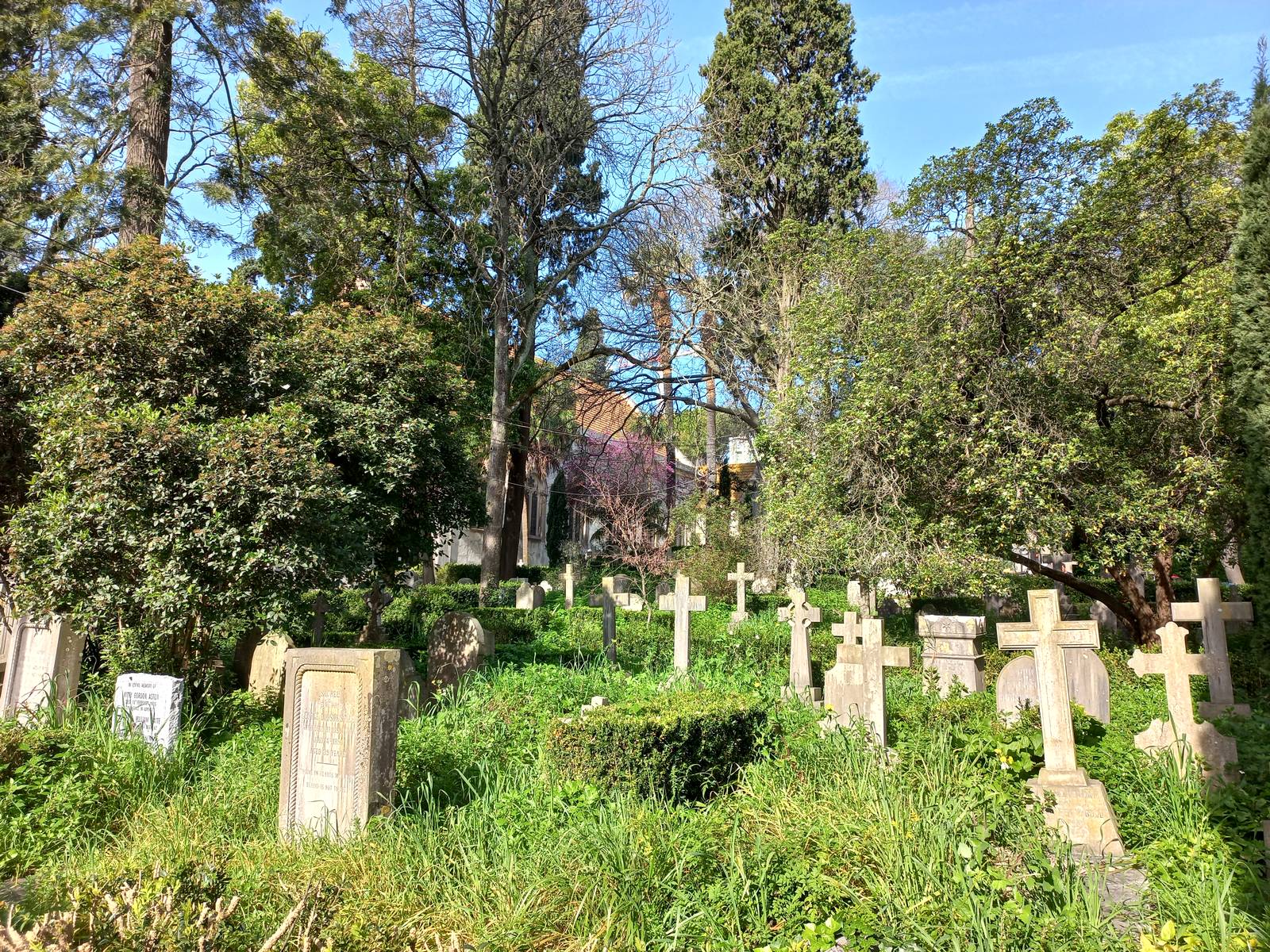 English Cemetery - Lisbon